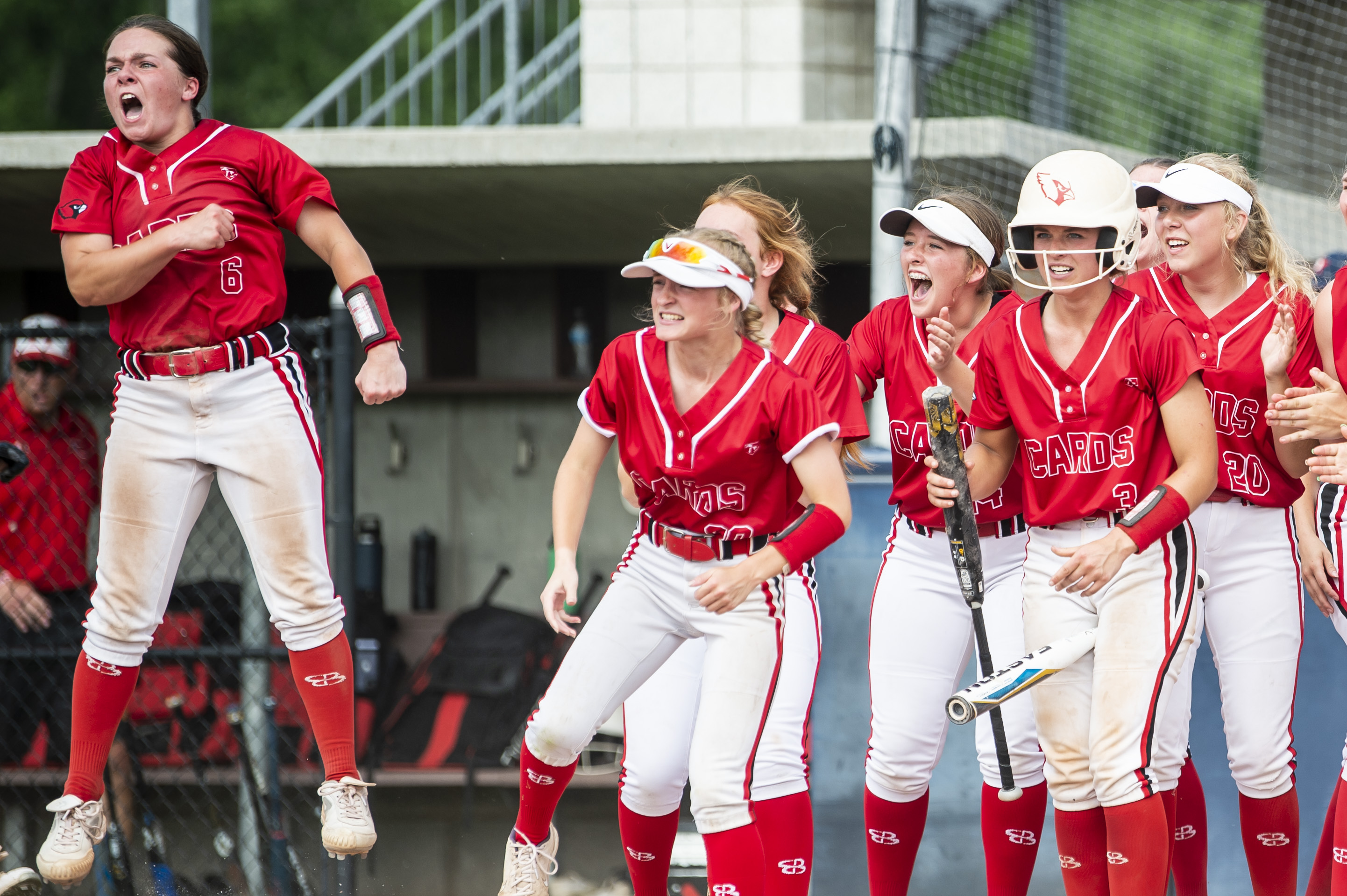 Millington softball defeats Richmond in quarterfinal - mlive.com