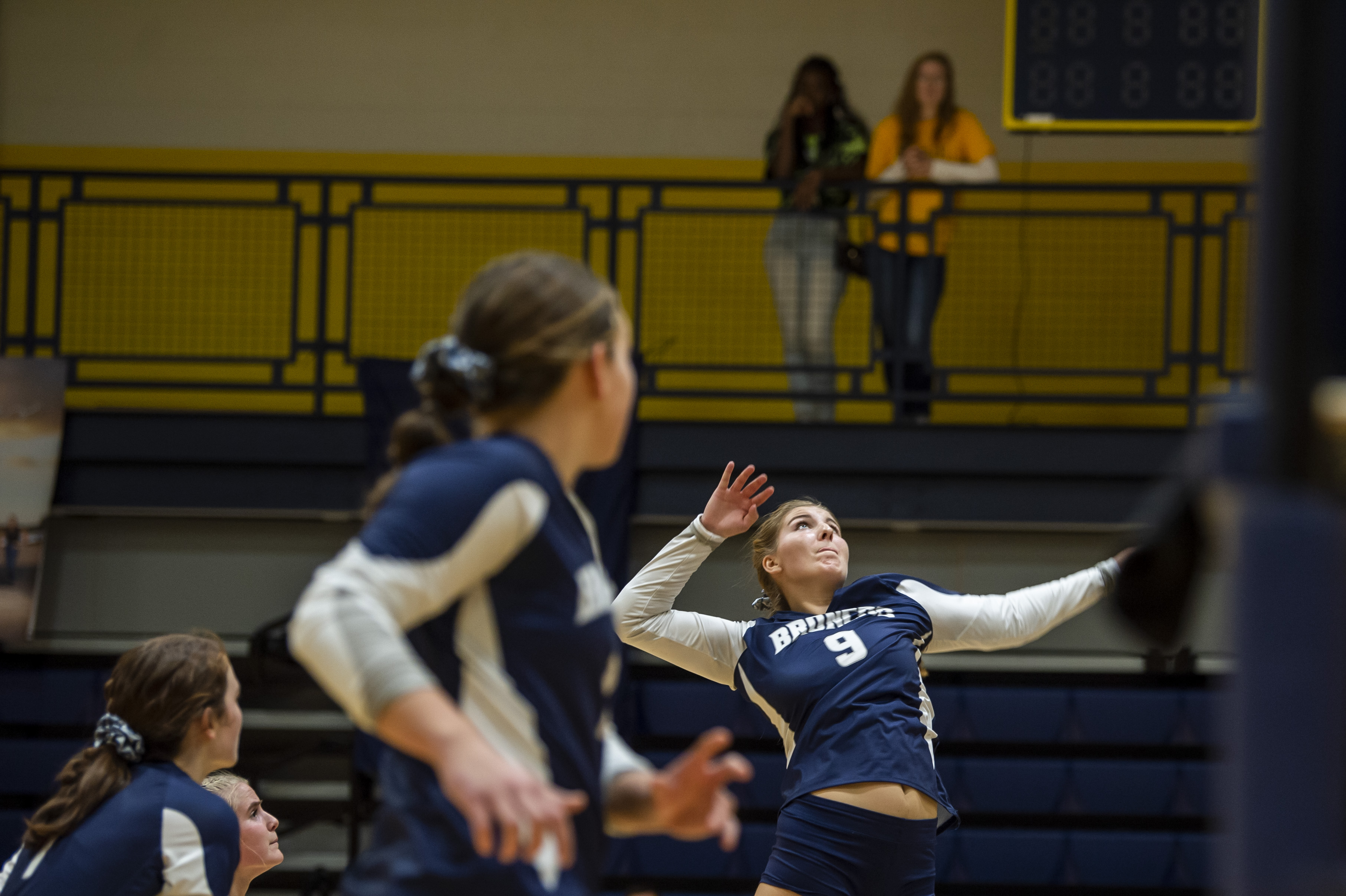 North Branch volleyball defeats Mt. Morris in quarterfinal match ...