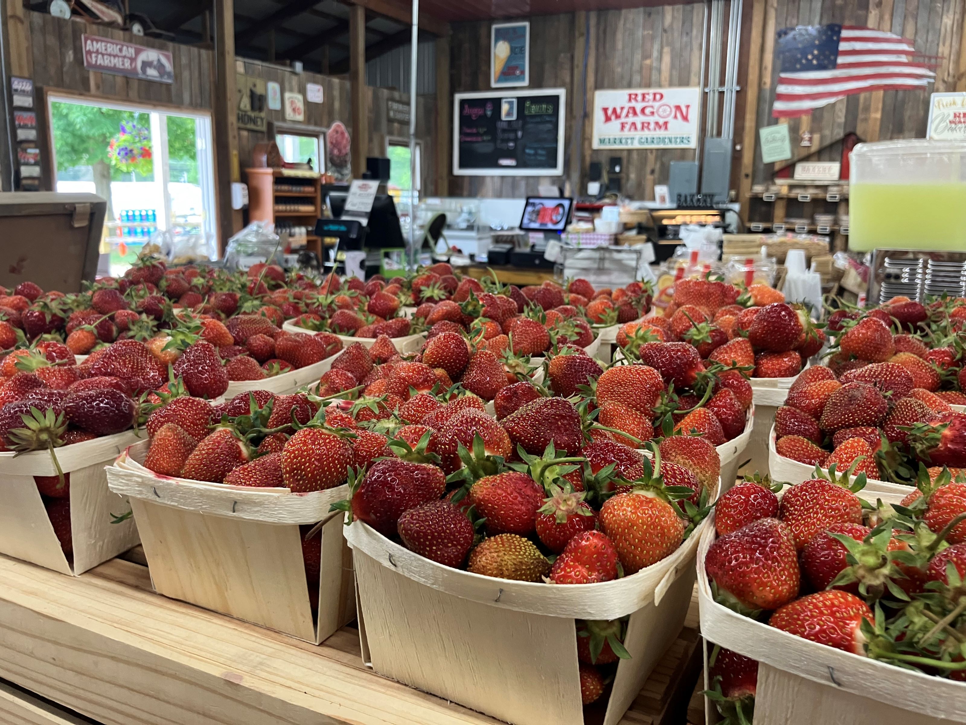 Four Paws Brewing Co. - cleveland.com