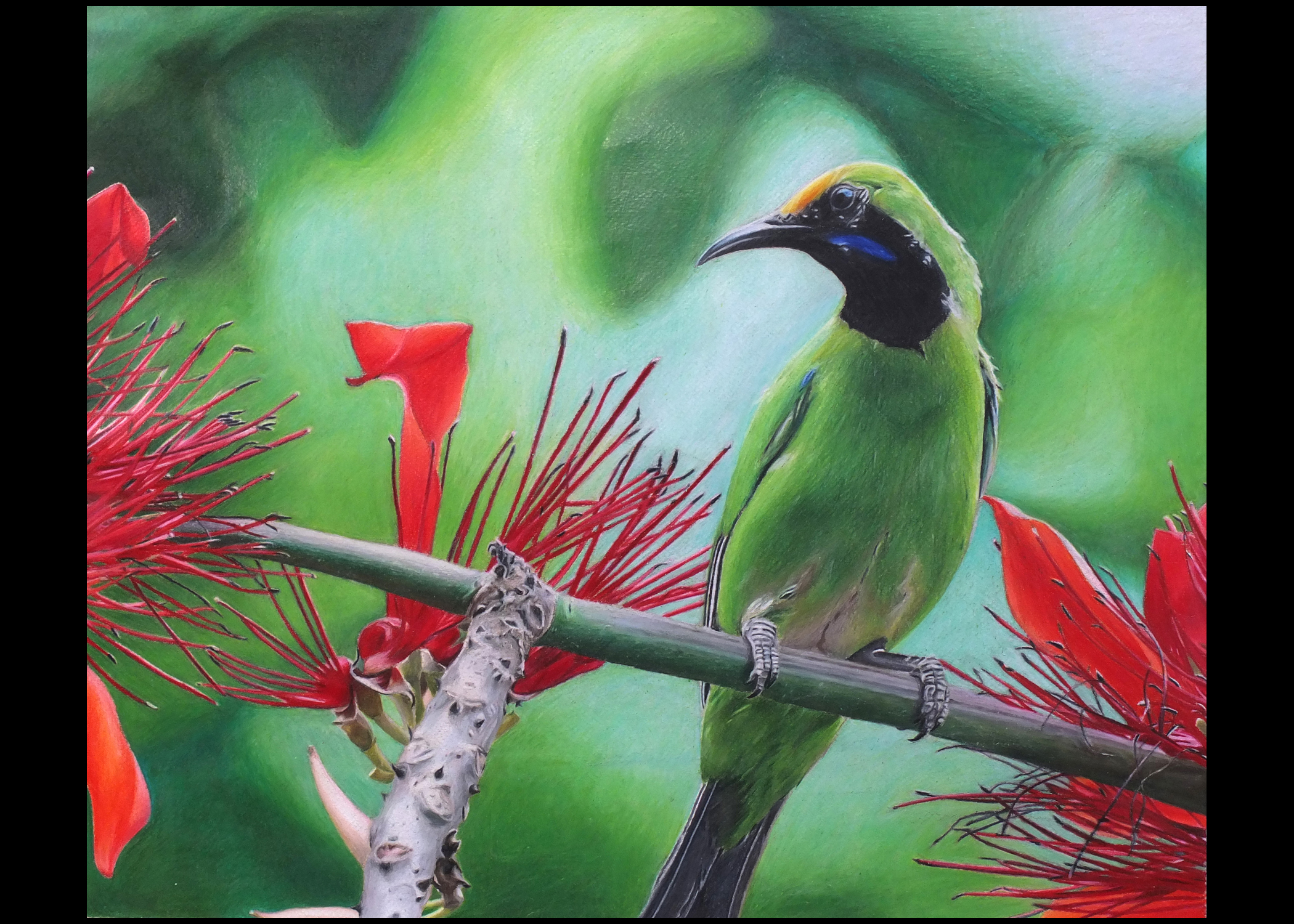 2025 CNY Scholastic Art Awards: Drawing & Illustration - syracuse.com