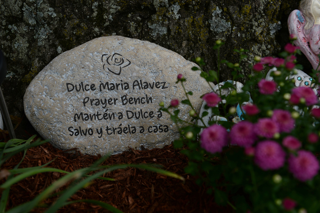 Dulce's Day at Bridgeton City Park, Sept. 13, 2020 - nj.com