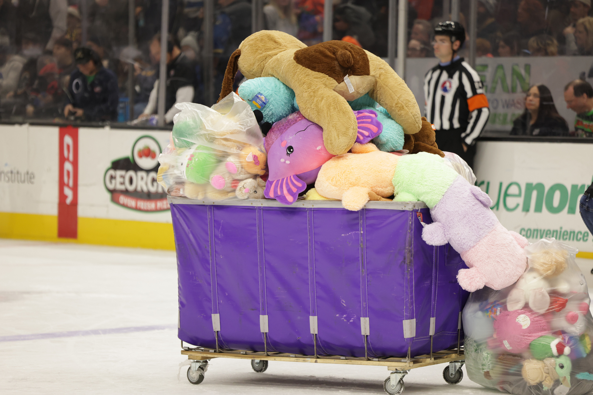Teddy Bear Toss at Cleveland Monsters game - cleveland.com