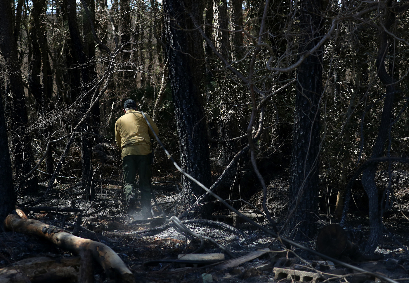 Damage from large brush fire in Brick and Lakewood, March 15, 2021 - nj.com