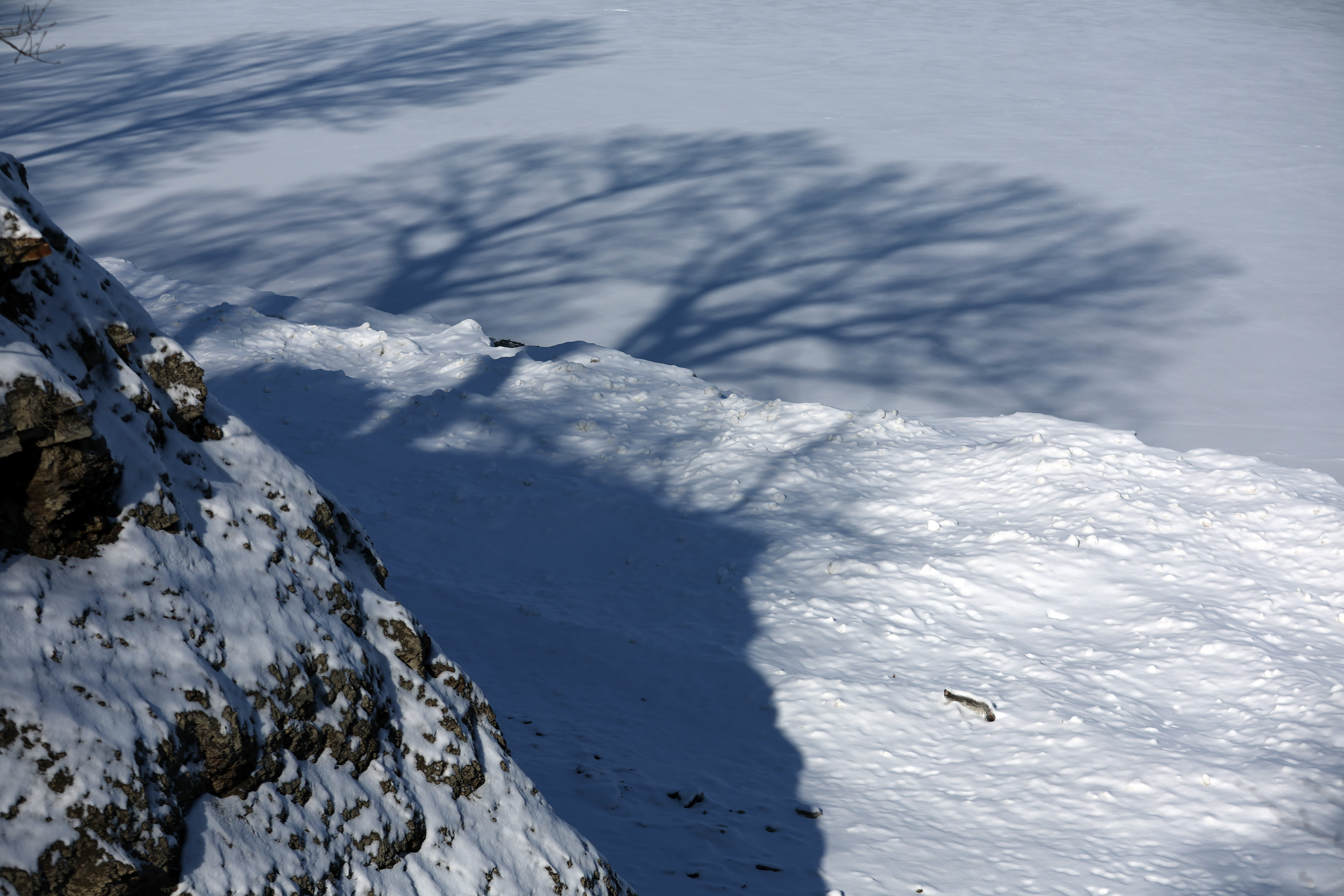 Winter ice formations along the shore of Lake Erie, January 21, 2026 ...