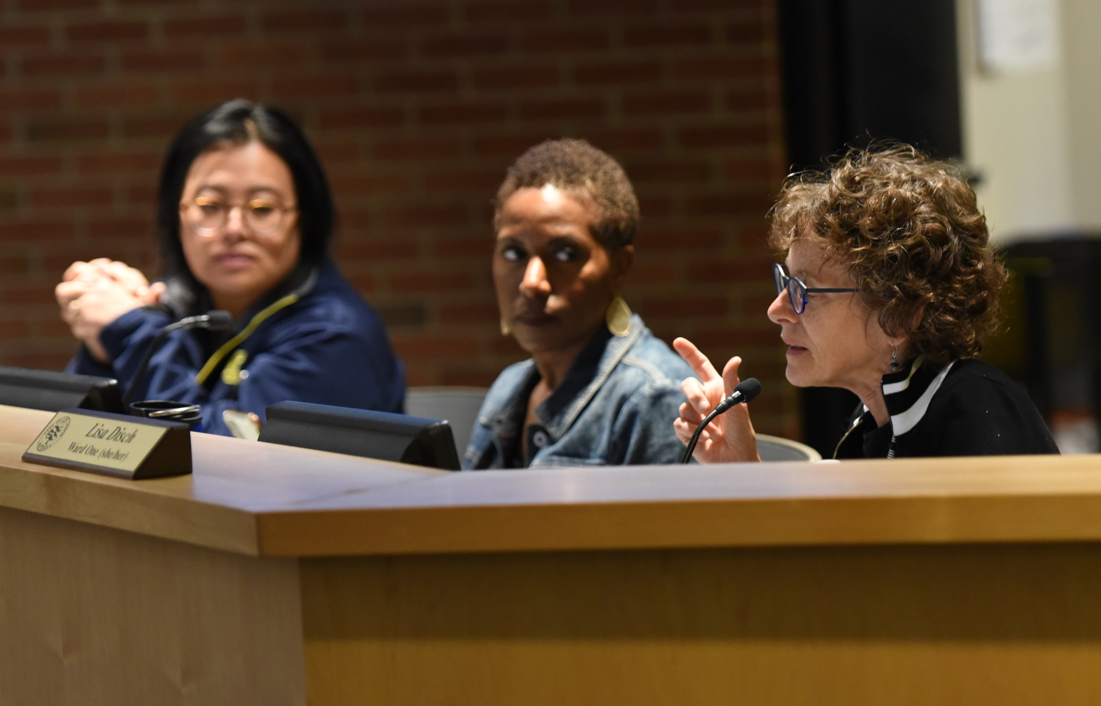 Ann Arbor City Council meeting on Sept. 26, 2023 - mlive.com