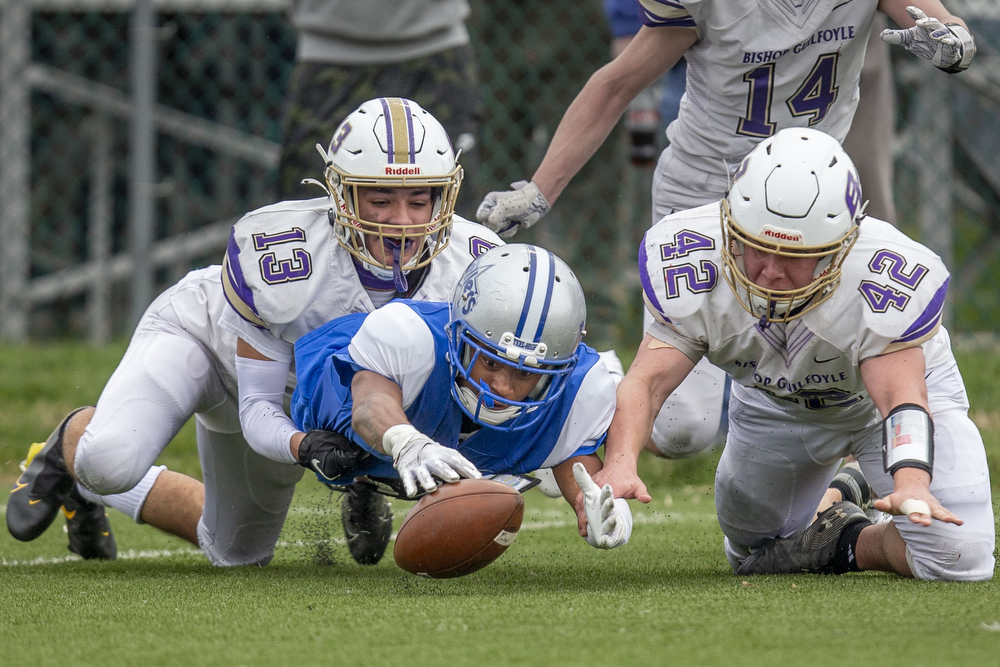 Steelton-Highspire headed to state football championship with exciting ...