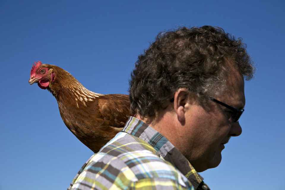 Carlson Farms - mlive.com