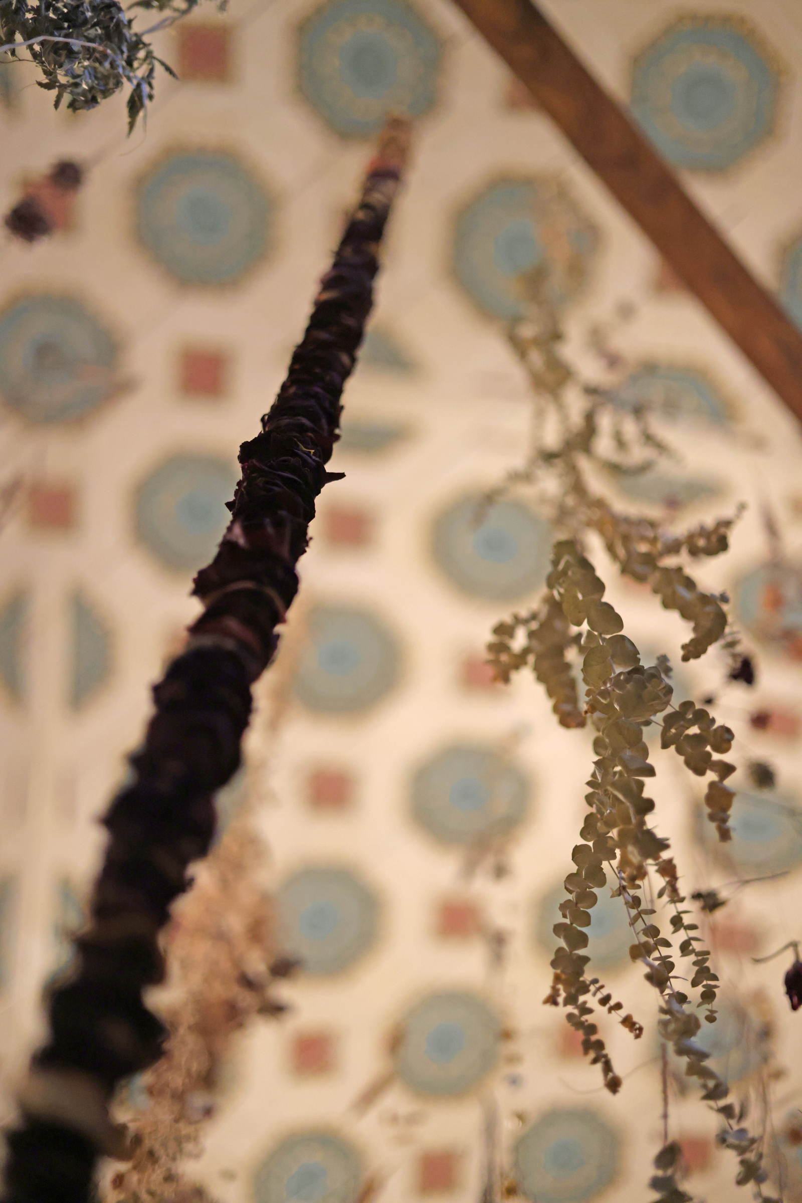 "The Archive" floral exhibit on display in Cleveland - cleveland.com