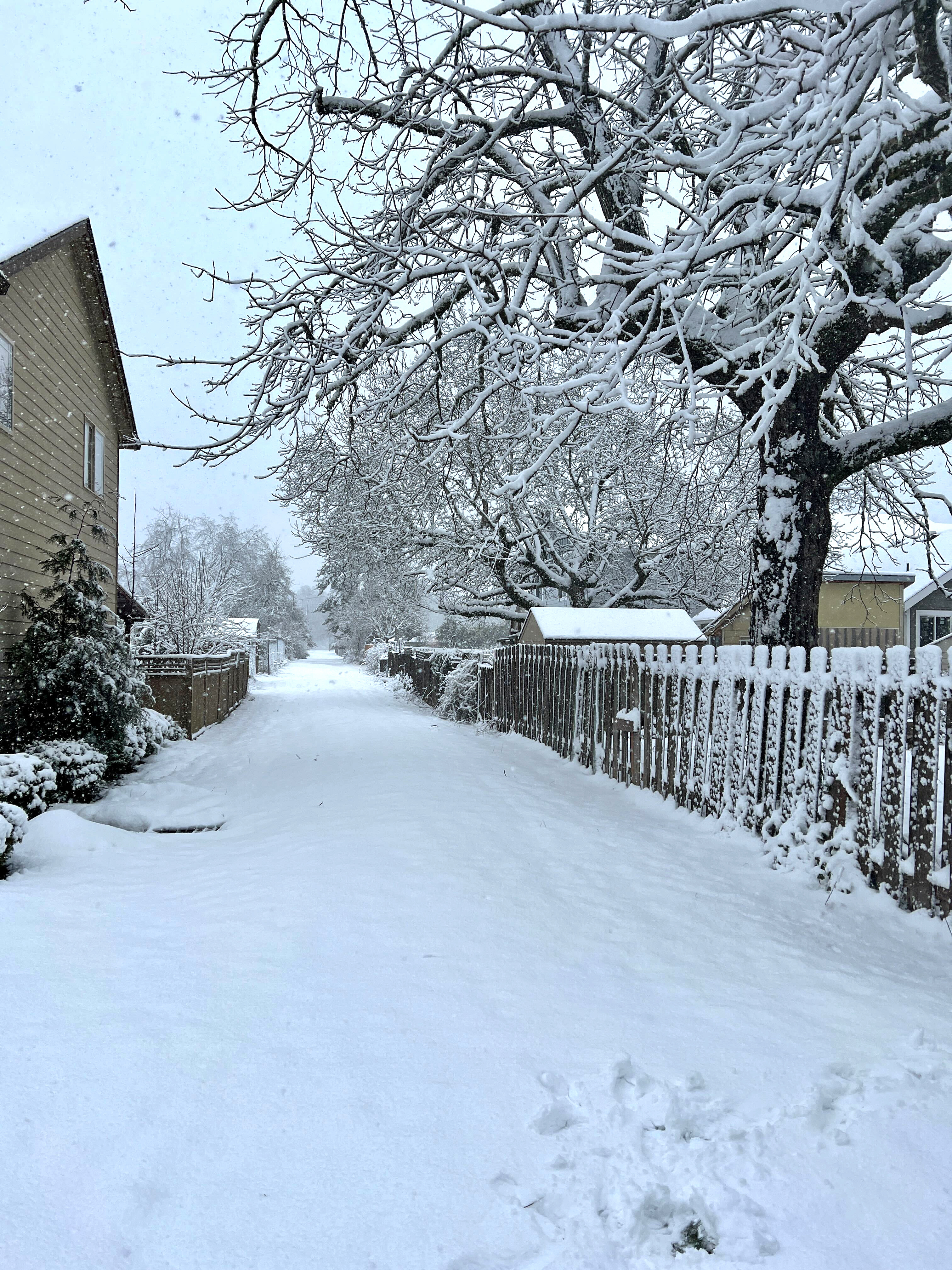 Portland snow - Feb. 22, 2023 - oregonlive.com