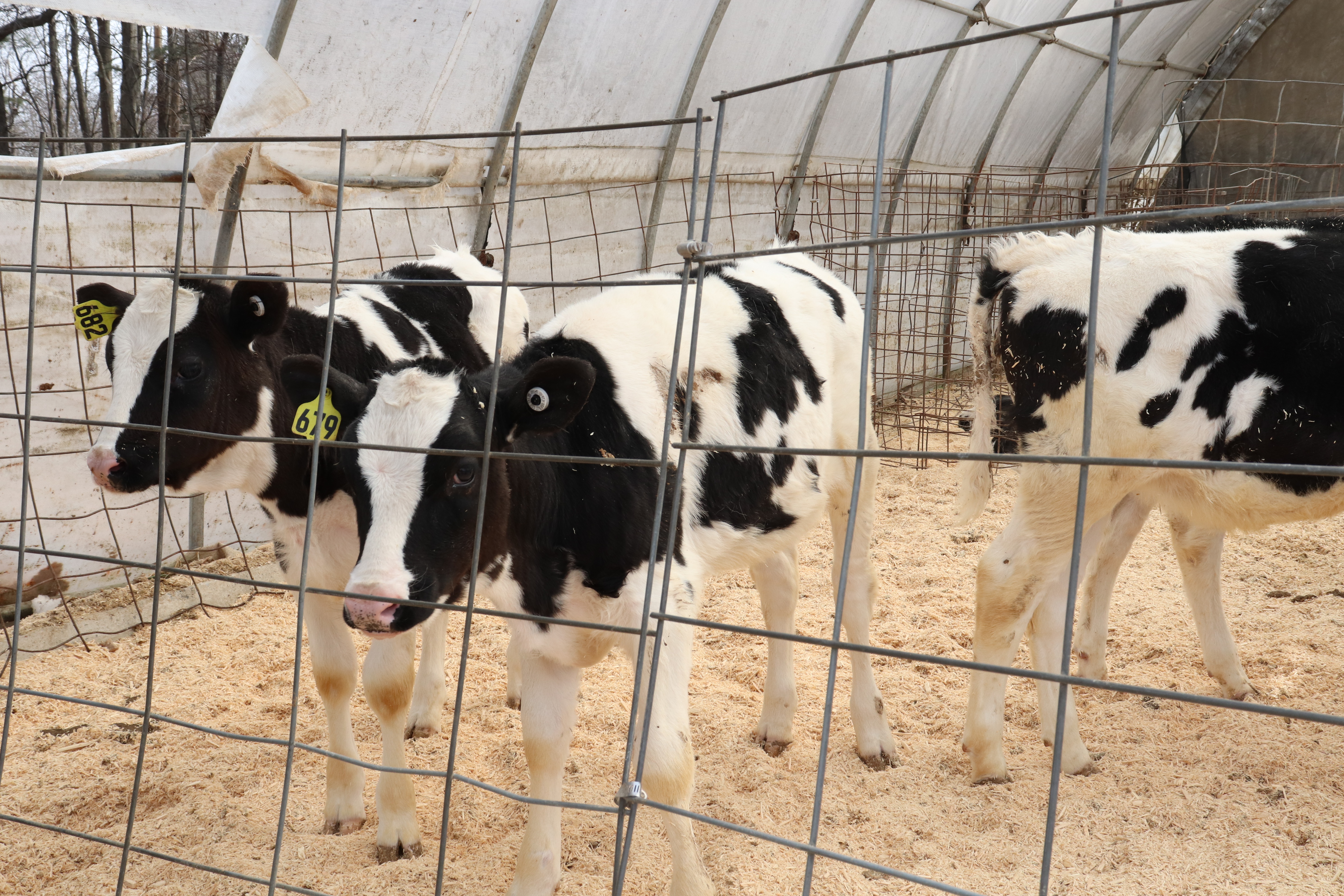 Smith's Country Cheese in Winchendon - masslive.com