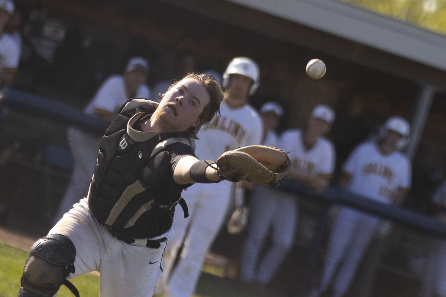 See photos as Saline hosts Dexter, Chelsea in baseball and softball ...