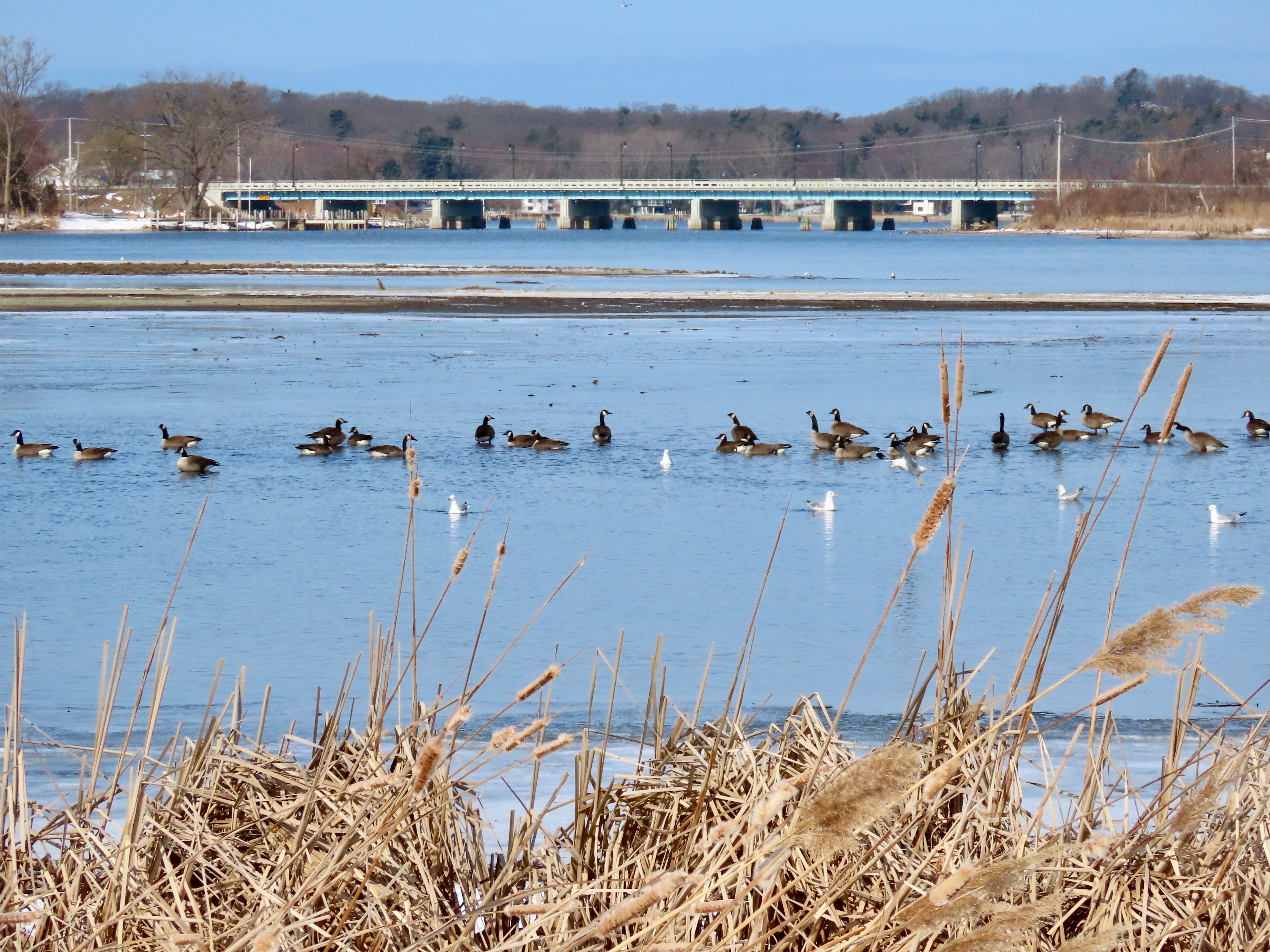Plastic 'nurdle' pellets spill on I-196 next to Kalamazoo River - mlive.com