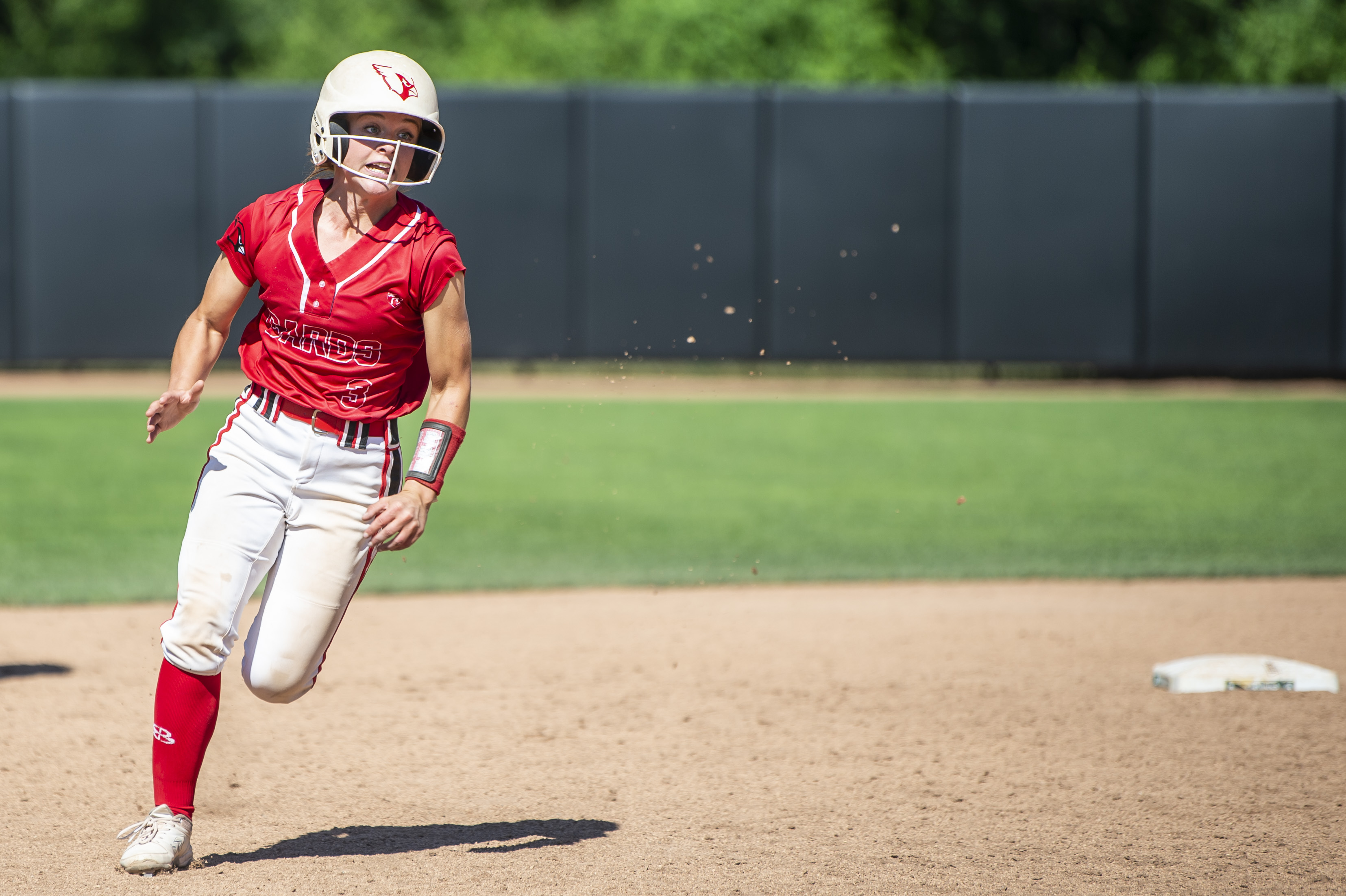 Millington wins Division 3 championship in eighth inning over Evart ...