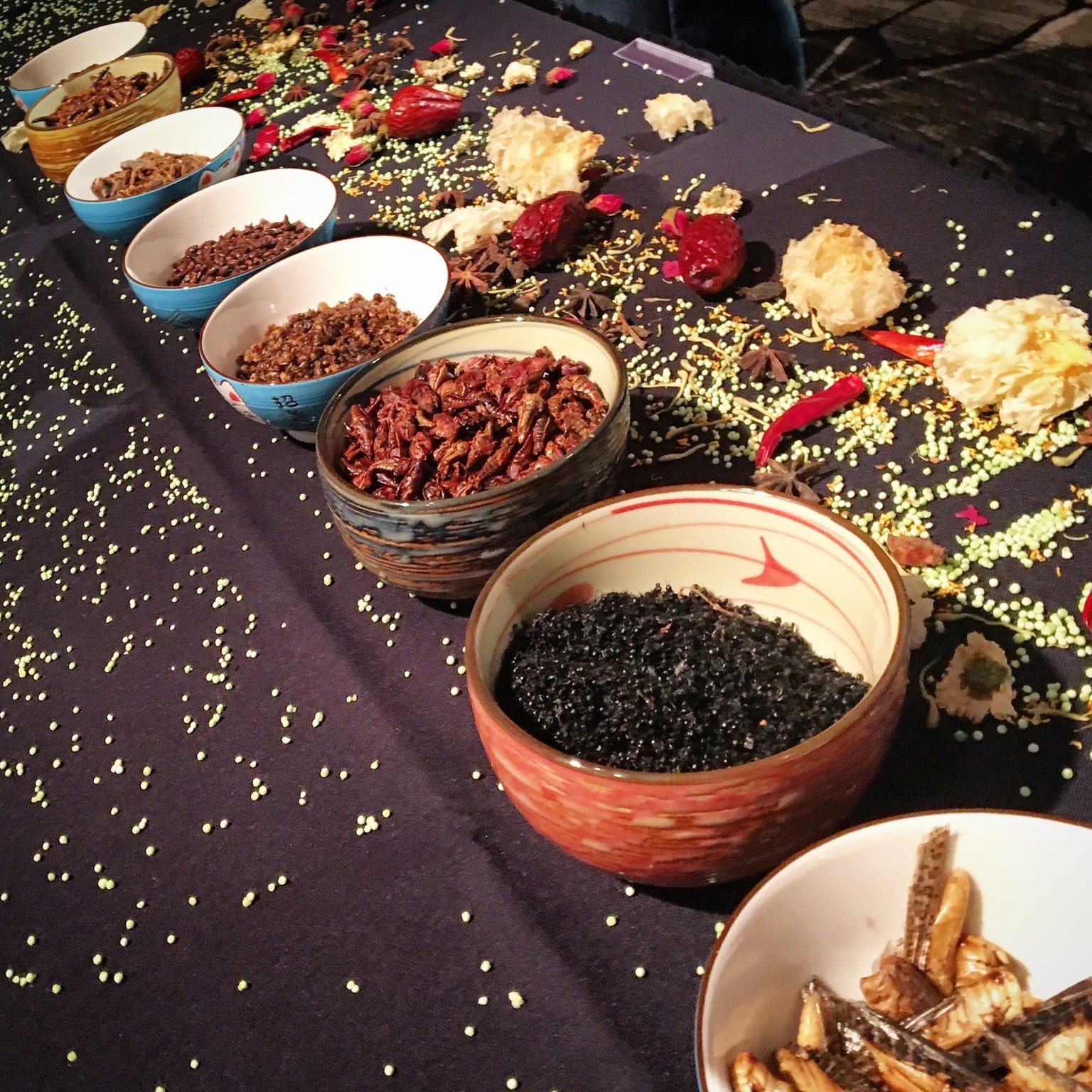 Get the latest news on edible insects