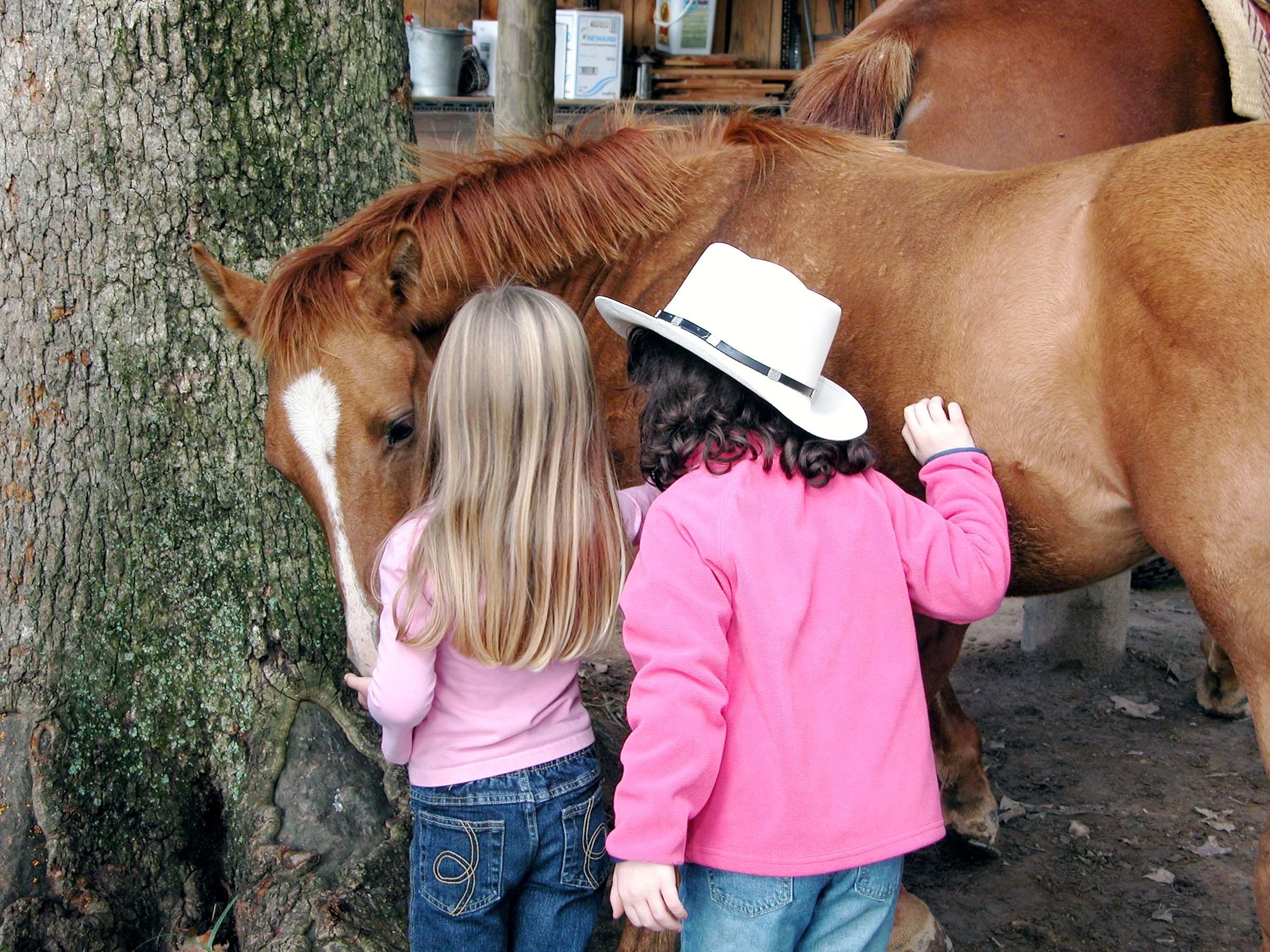 Best Family Dude Ranches