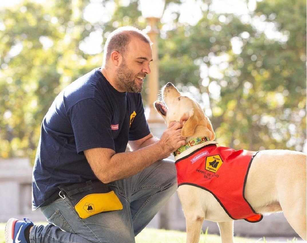 Hay Perros De Asistencia En El Reino Unido