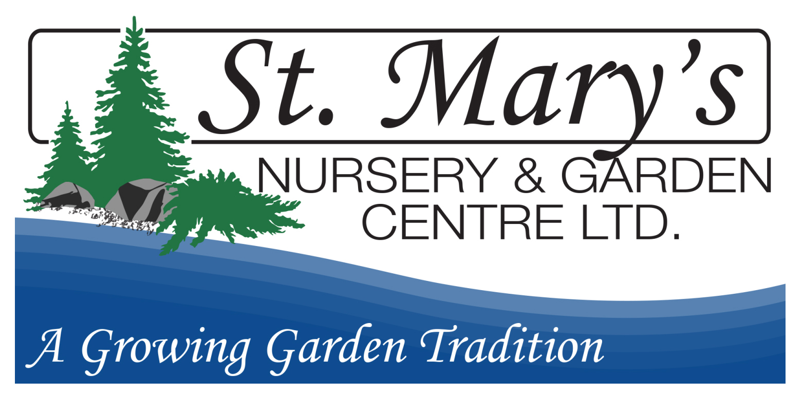 CTV Your Morning Winnipeg - Breaking News, Weather & Traffic Updates ...