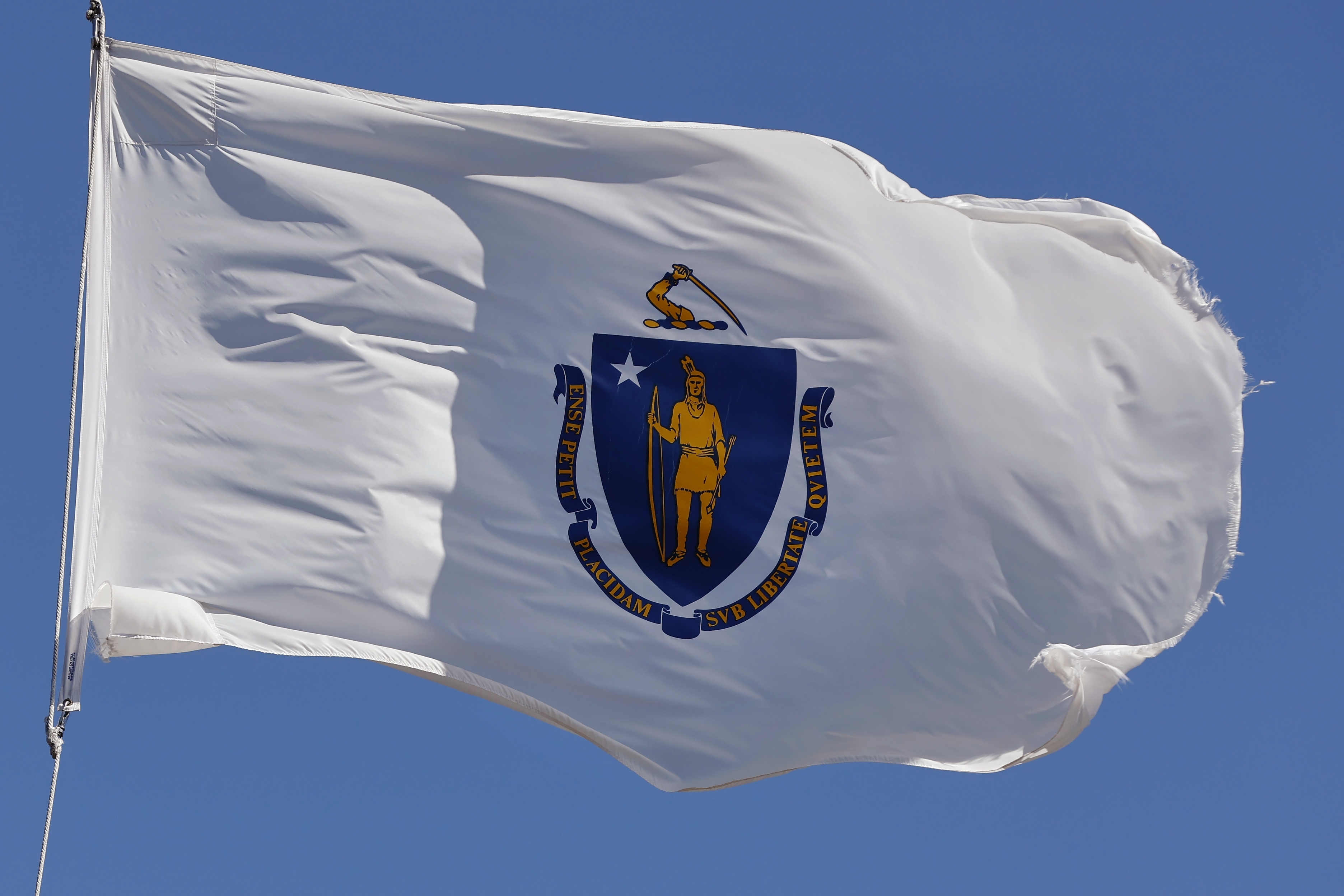 Massachusetts Colony Flag