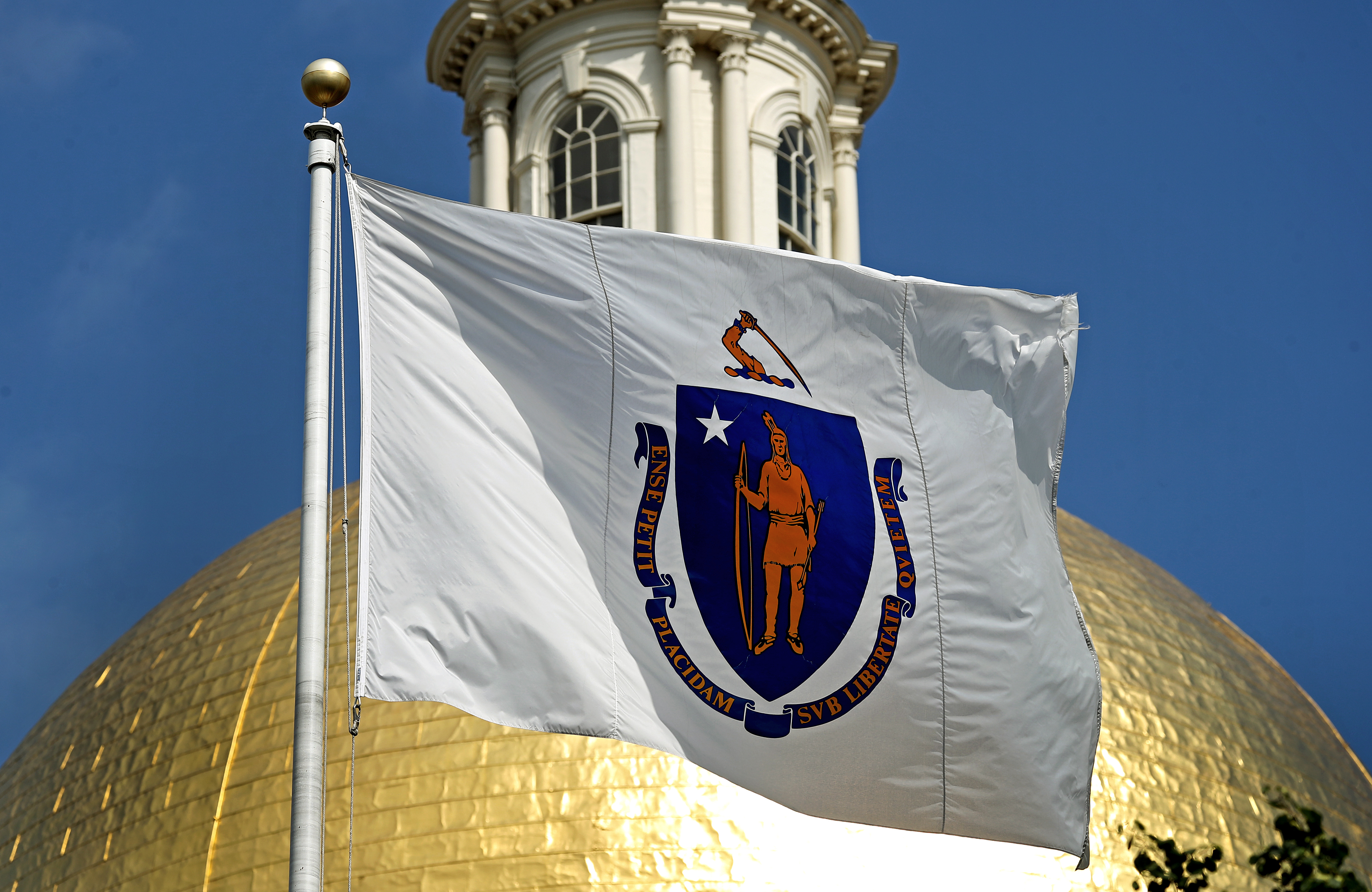 Massachusetts Colony Flag