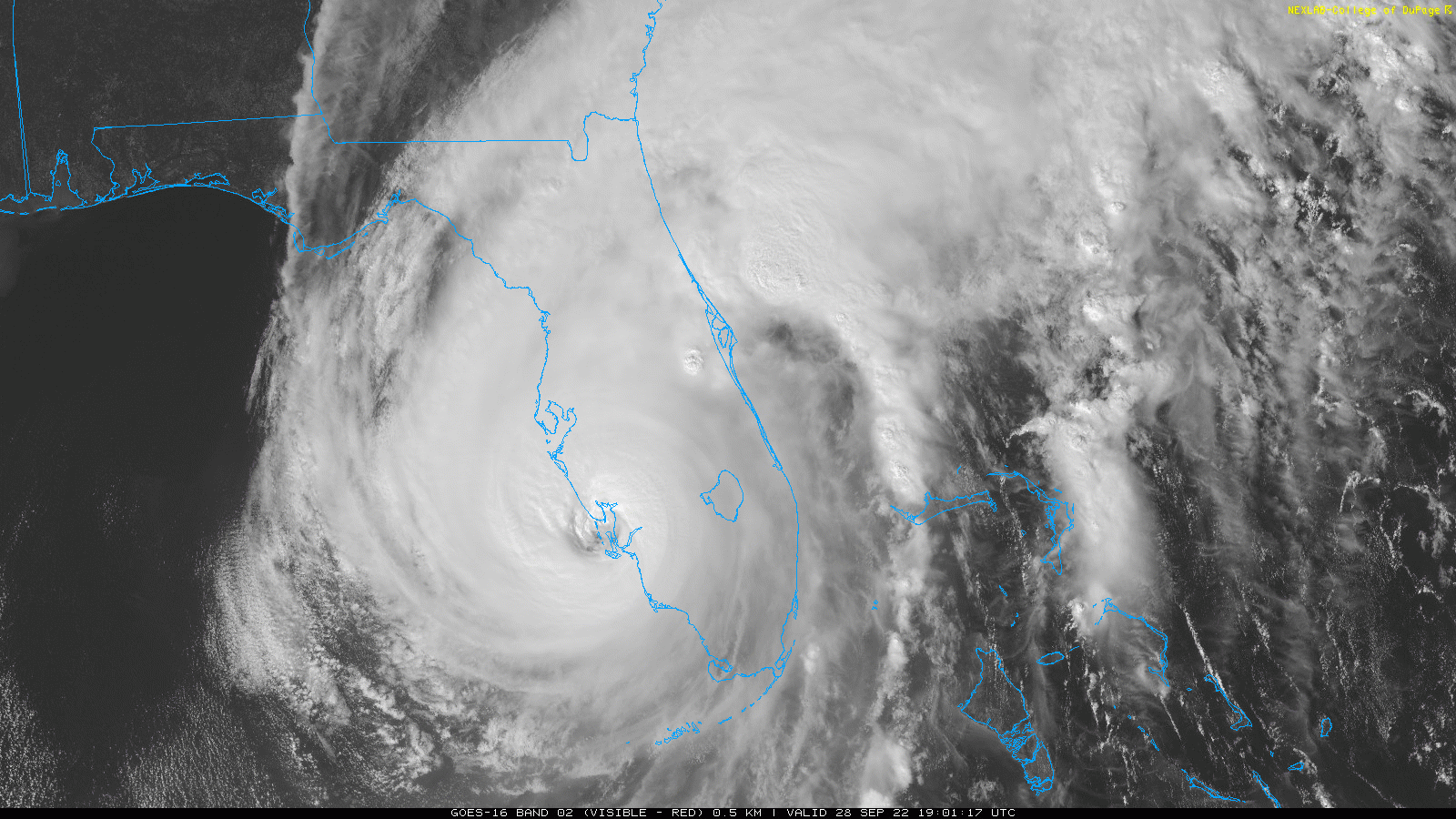 Hurricane Winds Gif