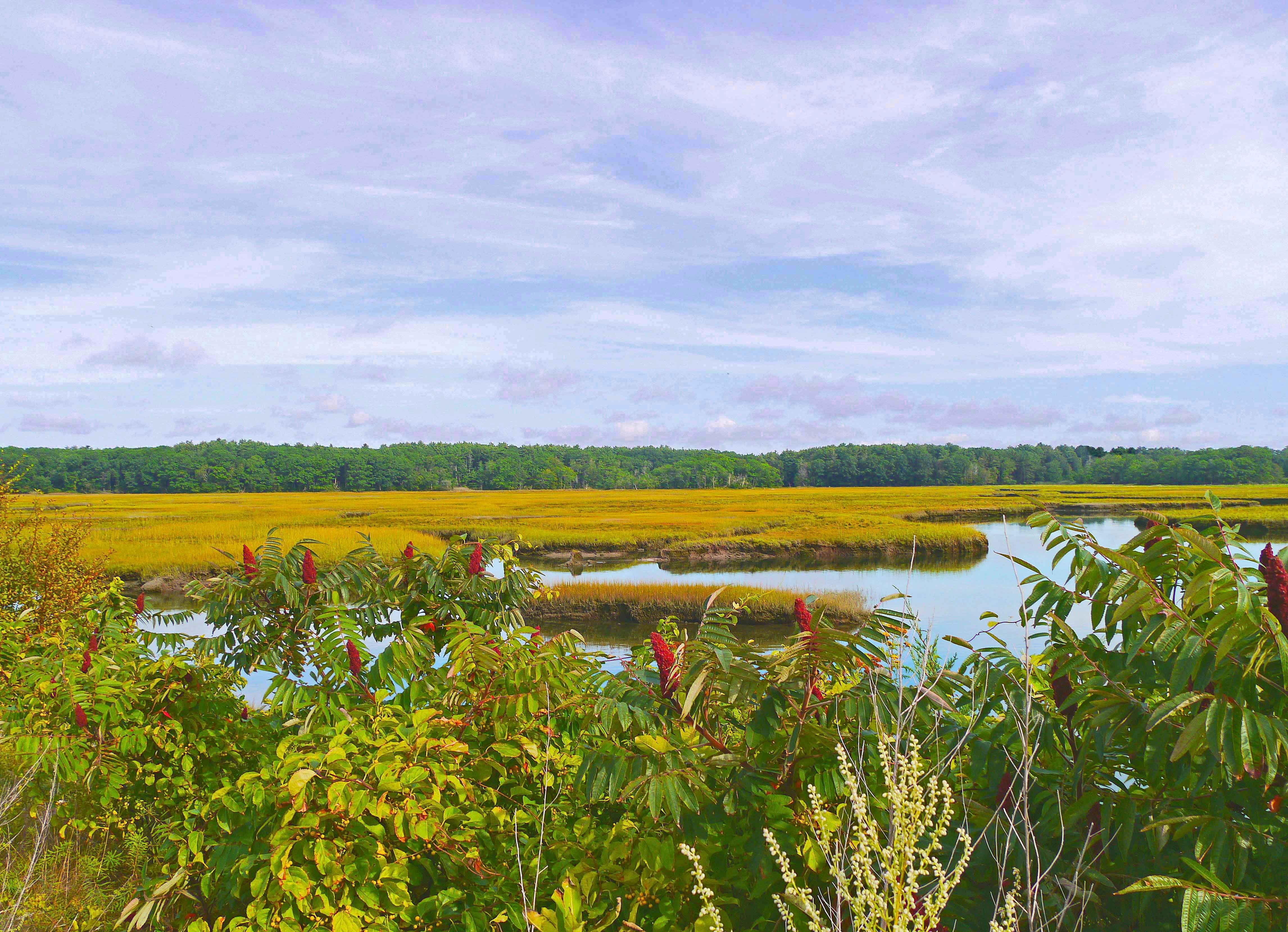 Salt marsh landscapes ripen into the subtle colors of autumn - The ...