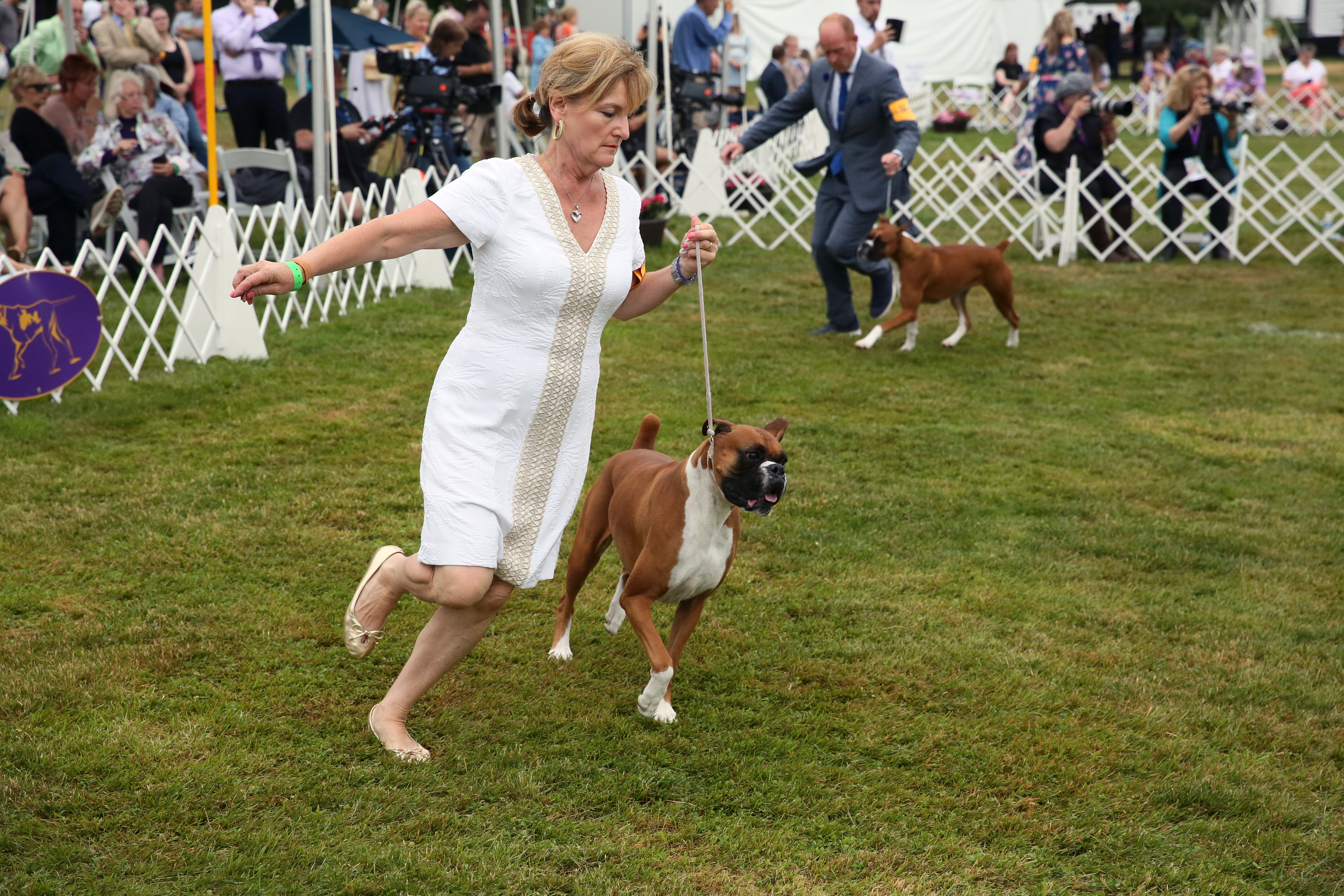 Is There A Dress Code For The Handlers At The Westminster Dog Show