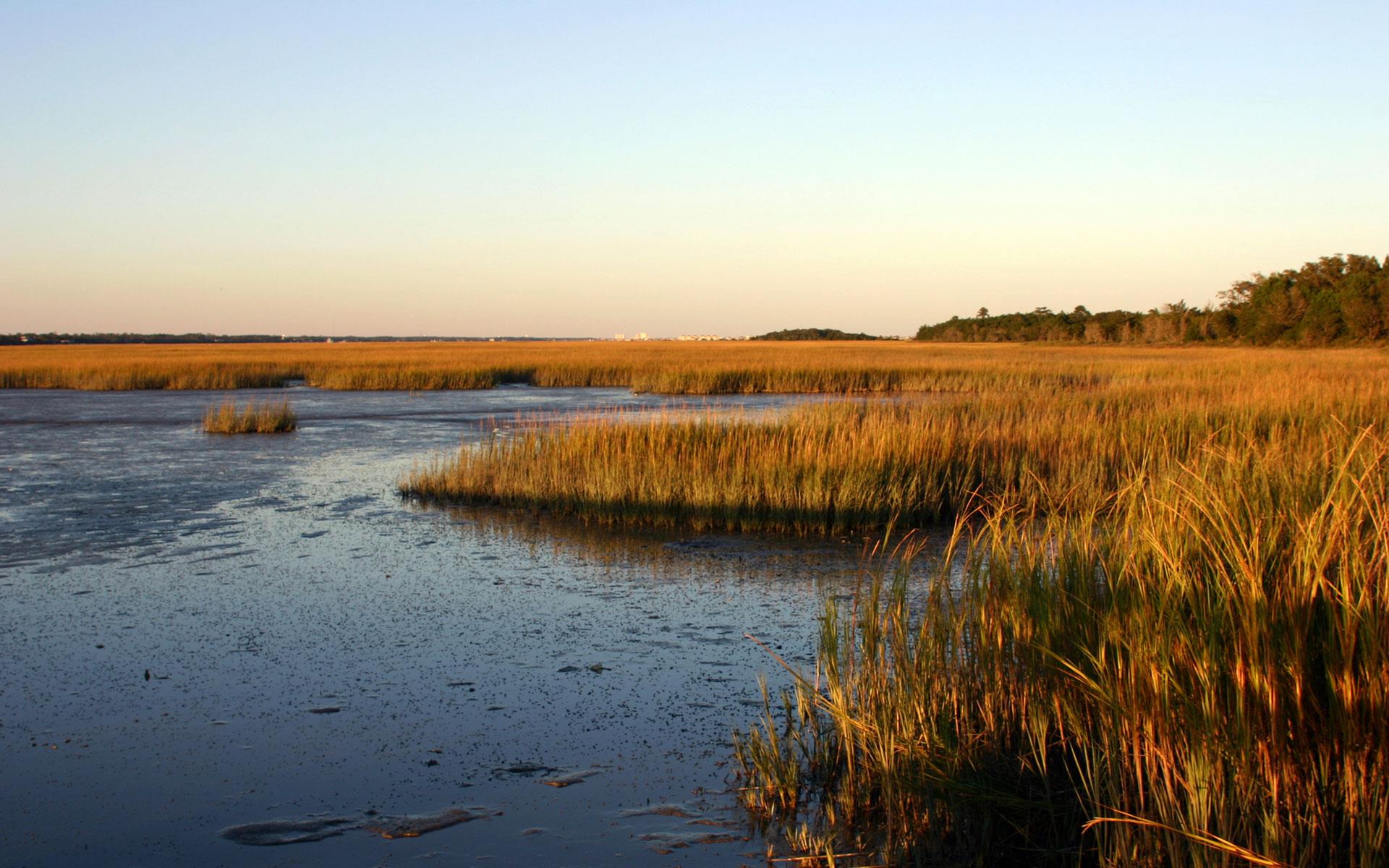 Living in Pawleys Island: Things to Do and See in Pawleys Island ...