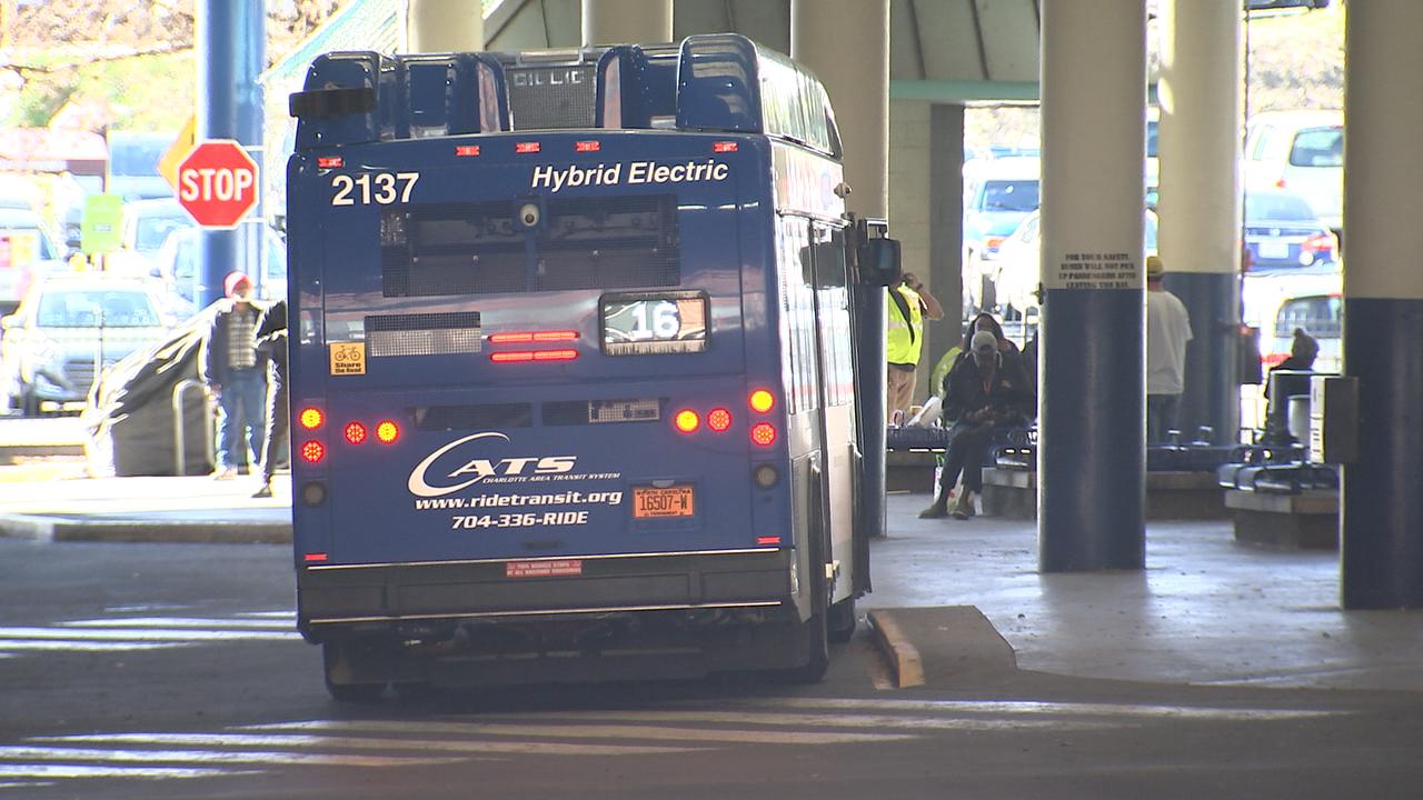 Charlotte Cats Bus Stop