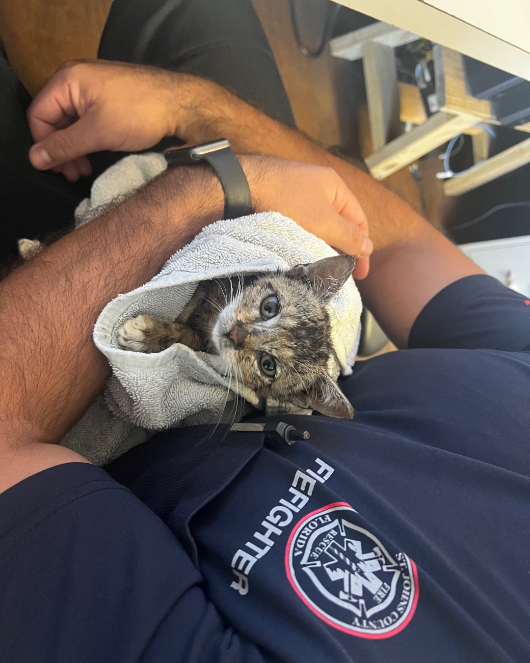 Firefighter Rescue Cat