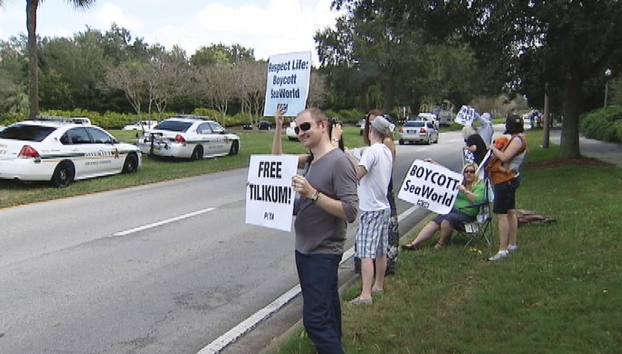 Dozens of animals activists protest outside SeaWorld – WDBO