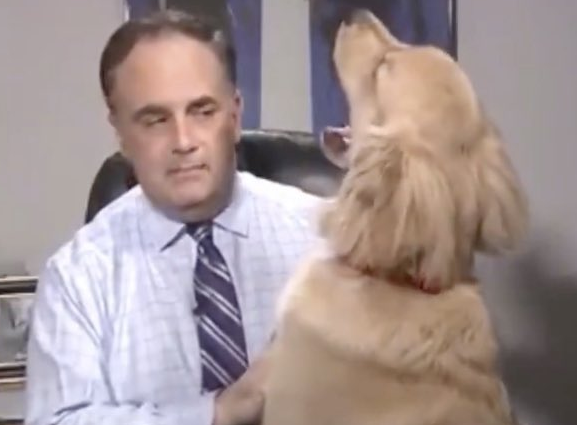 Watch: Adorable dog takes over weatherman’s broadcast at home – WDBO