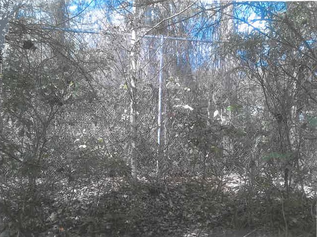 Staff training shortfall cited in escape of two teens from Jax DJJ ...