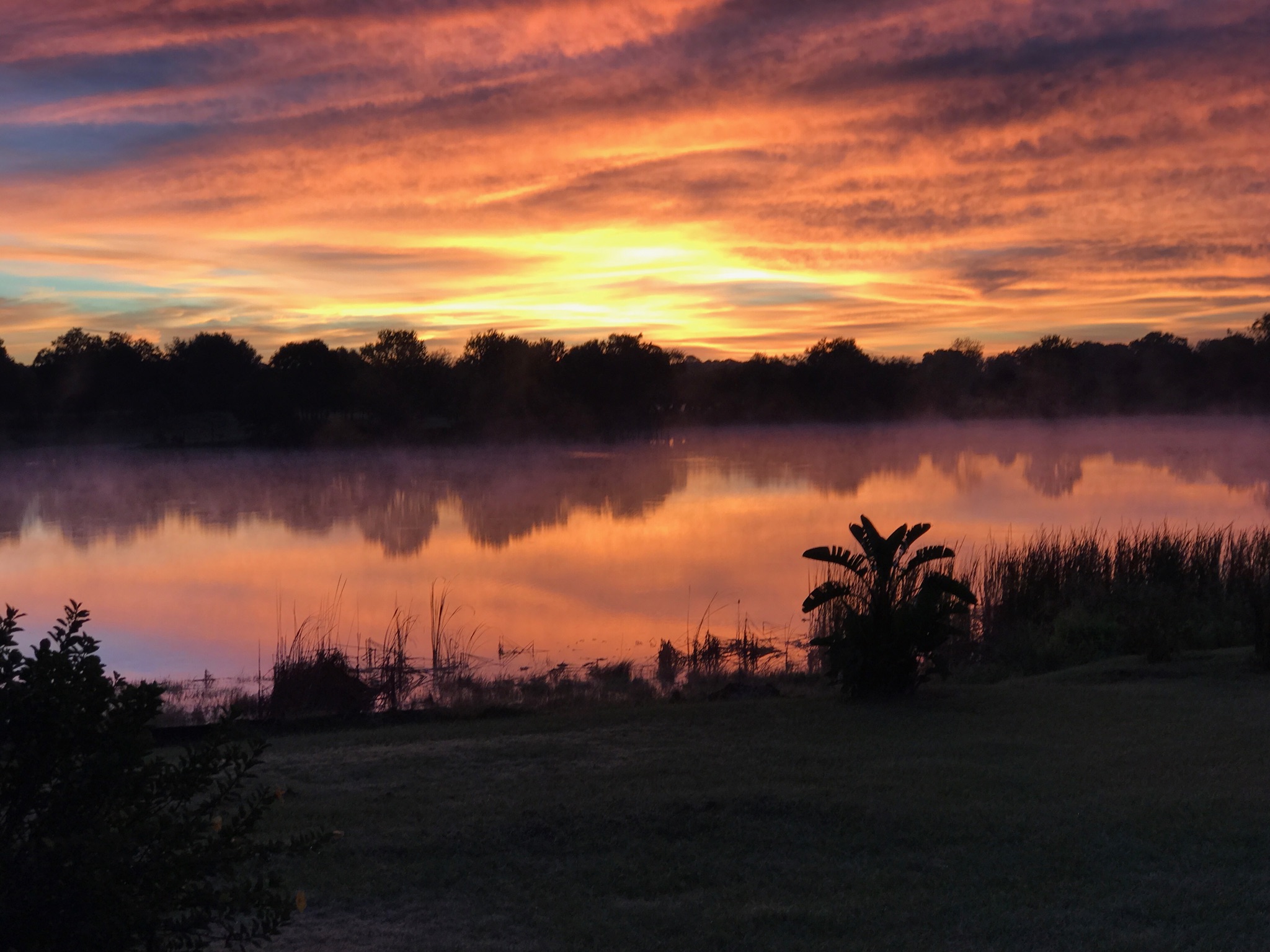 GALLERY: Breathtaking sunrise captured by WDBO listeners – WDBO