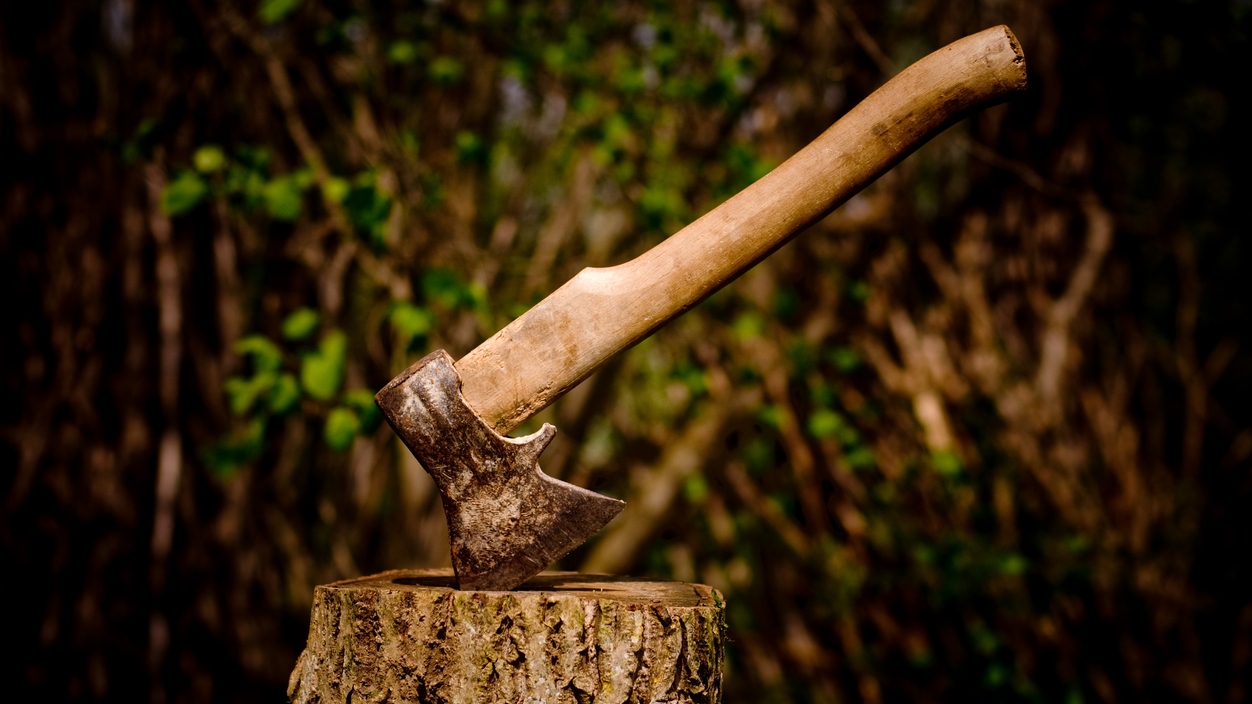 Alaskan woman shoots axe-wielding intruder – WPXI