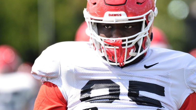 UGA defensive lineman Devonte Wyatt arrested – WGAU