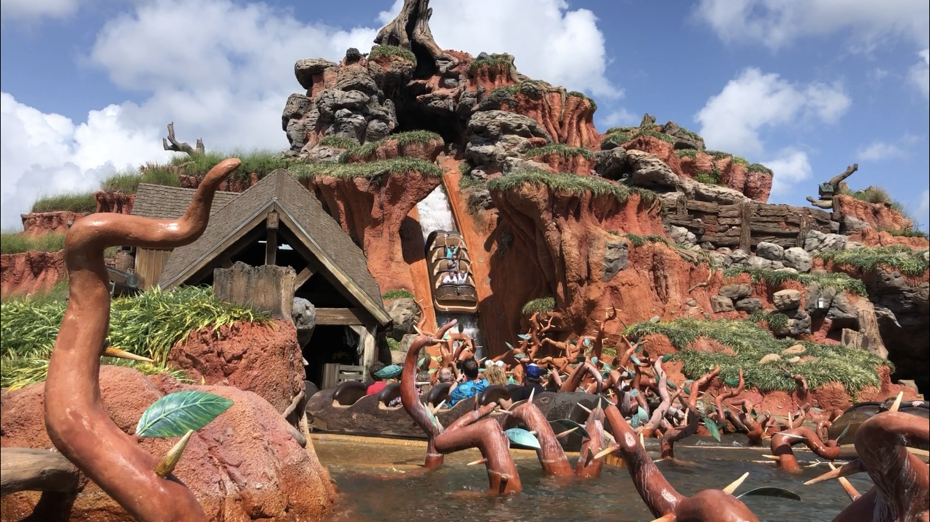 Disney World Magic Kingdom Splash Mountain