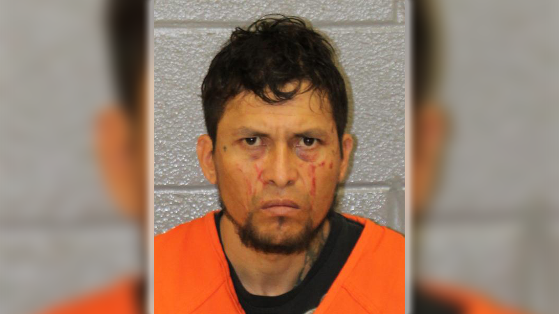 Charlotte Kill's Instagram, Twitter & Facebook on IDCrawl