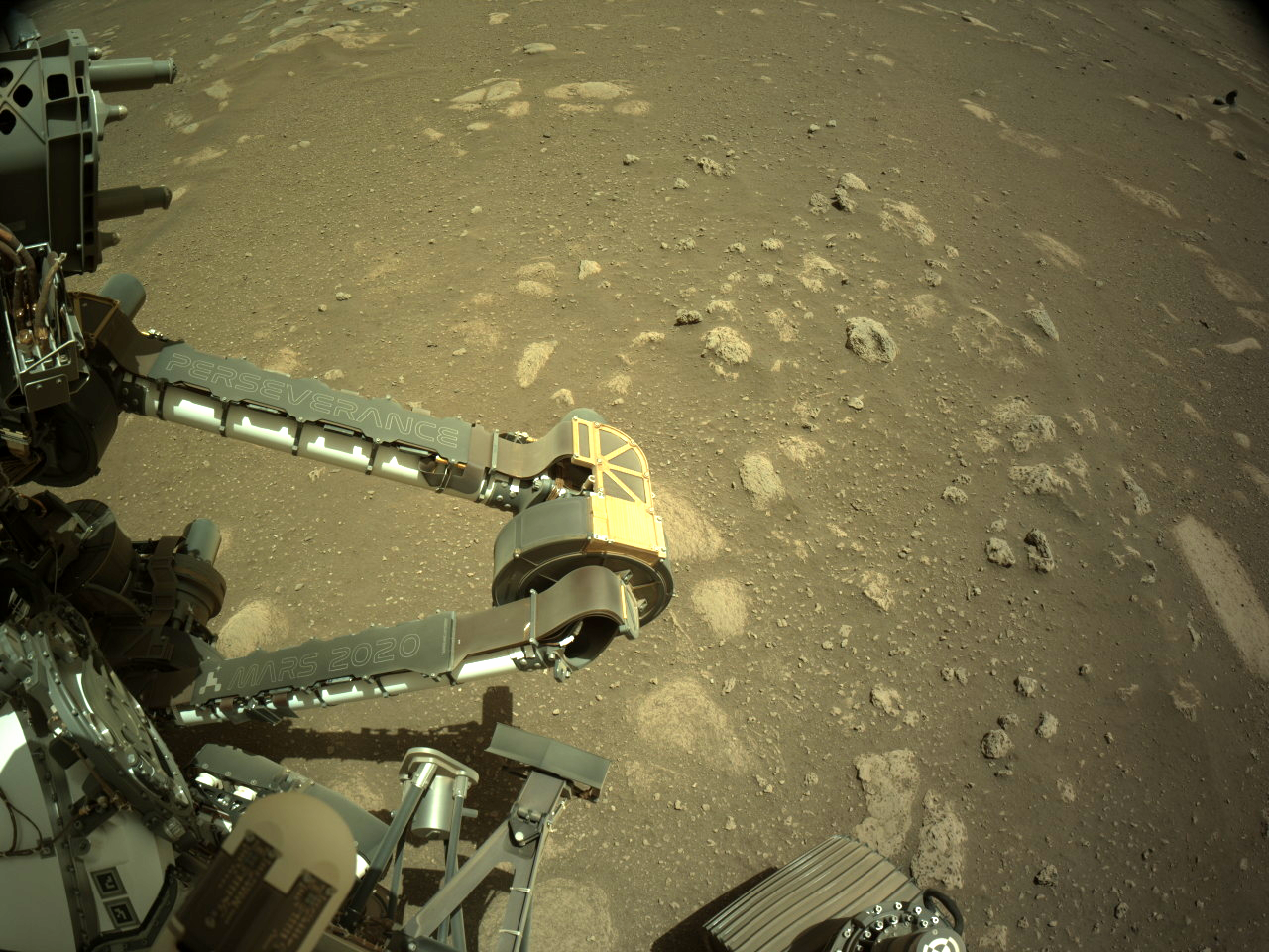 Photos: Mars images from Perseverance – Action News Jax