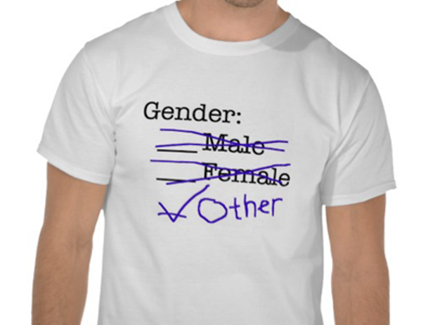 Beyond male and female: College now has seven gender options – WDBO