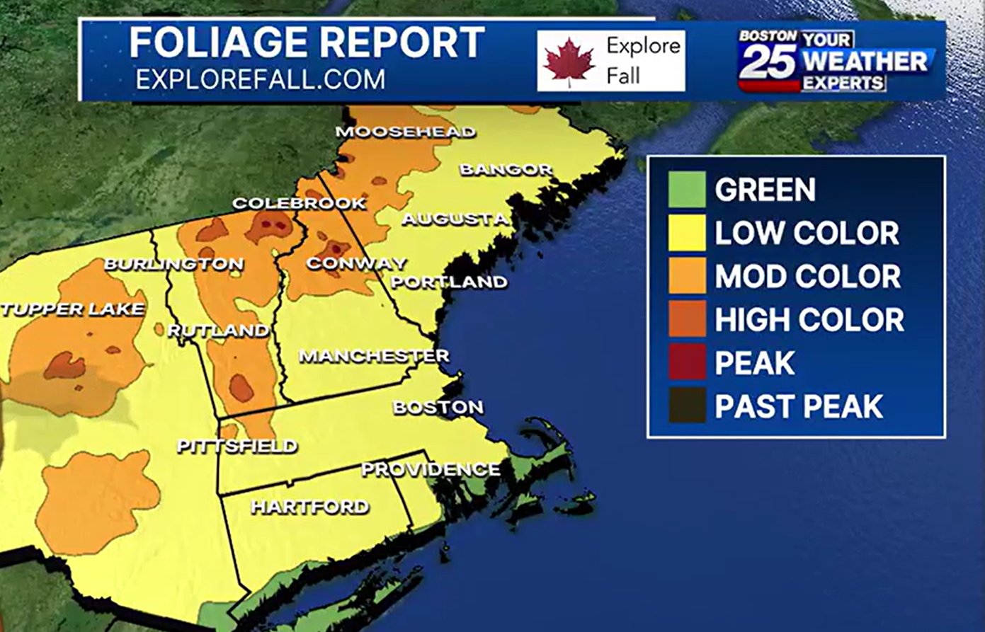 New England Fall Foliage Map