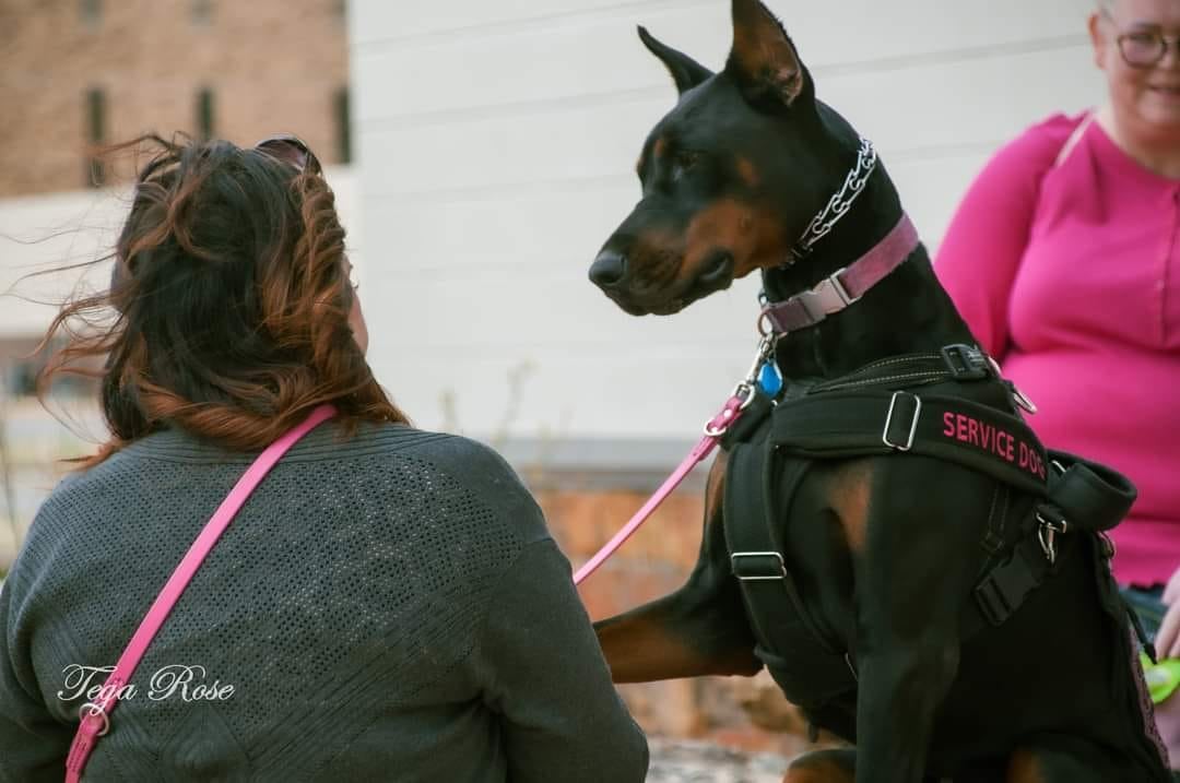 Are Doberman Pinschers Good Autism Service Dogs