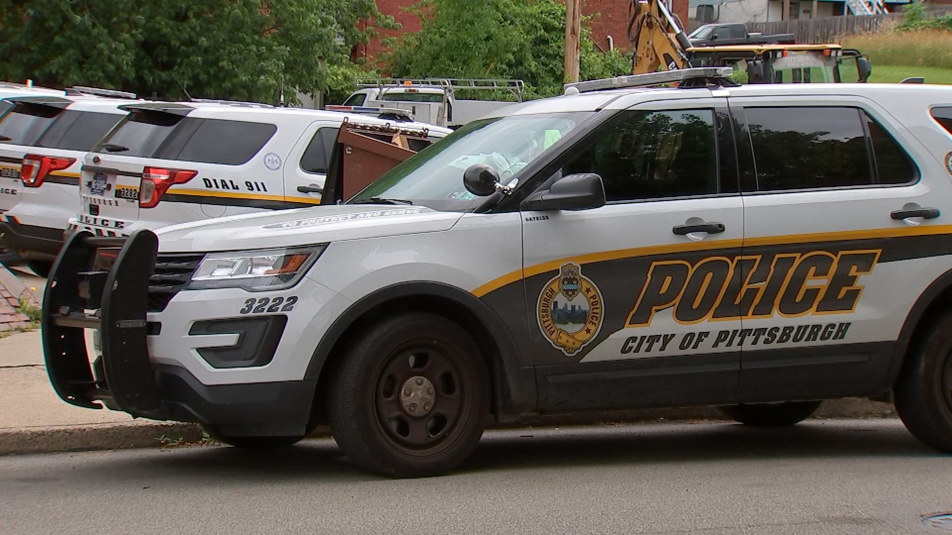 Man accused of assaulting police horse, vandalizing cop car during ...