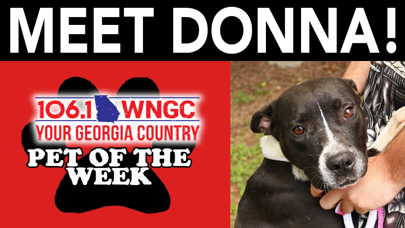 WNGC Pet of the Week – Your Georgia Country
