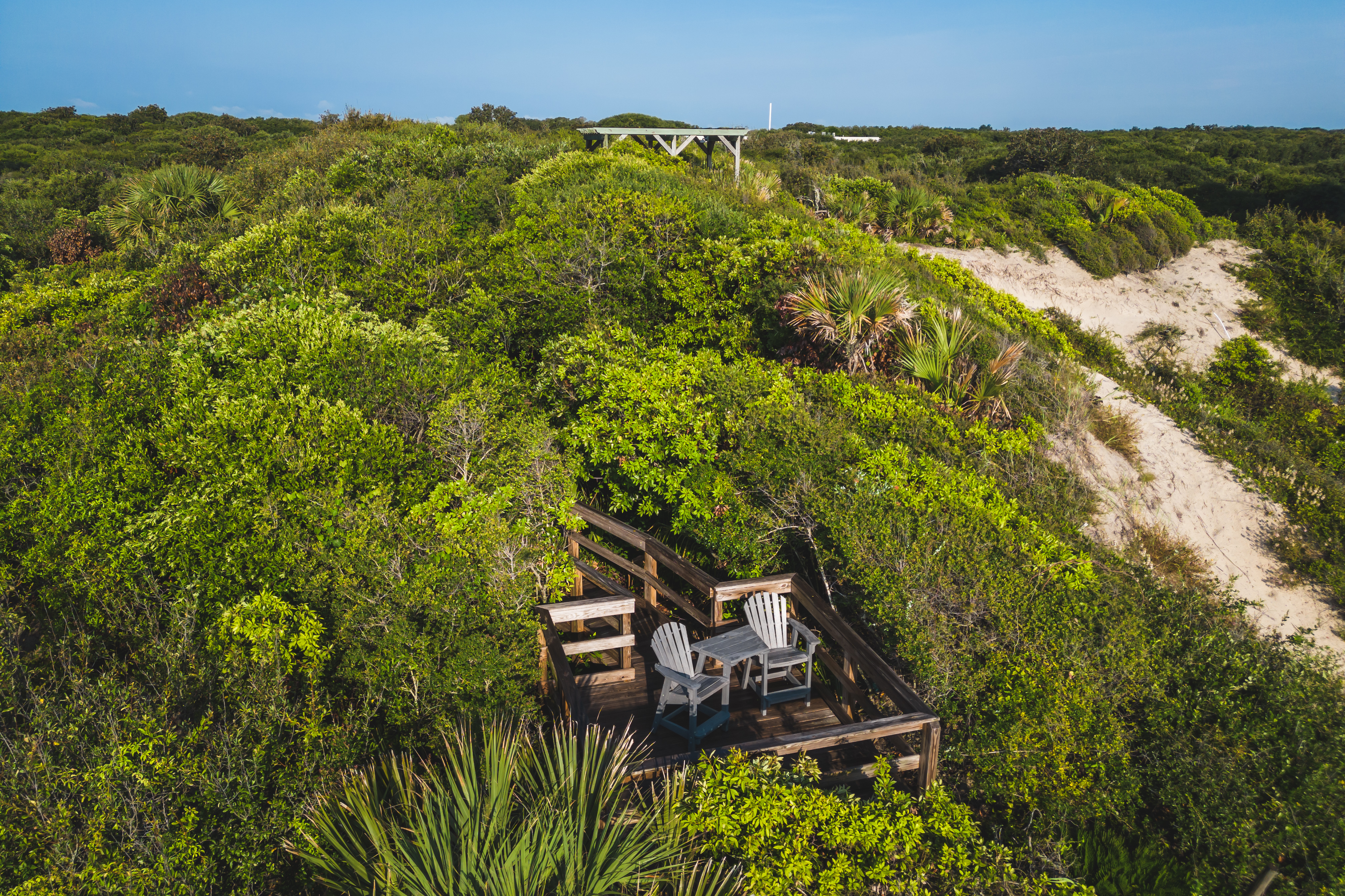 Discover The Unseen Beauty Of Amelia Island State Park Zulie Journey