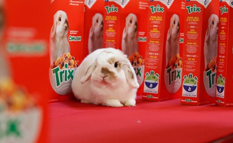 Real bunny becomes Trix cereal's new mascot – WDBO