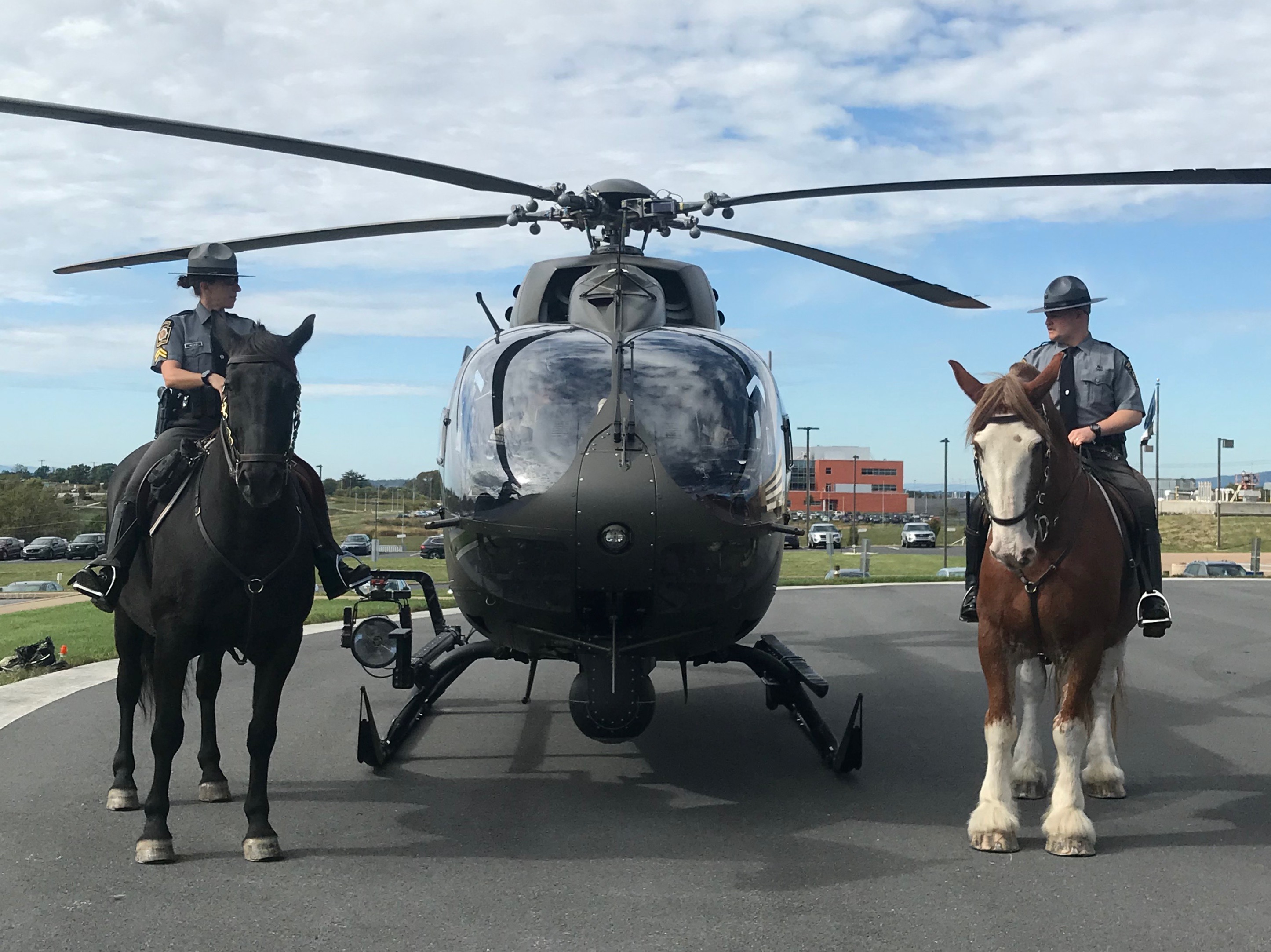 Pa. State Police needs support for its mounted patrol unit – WPXI