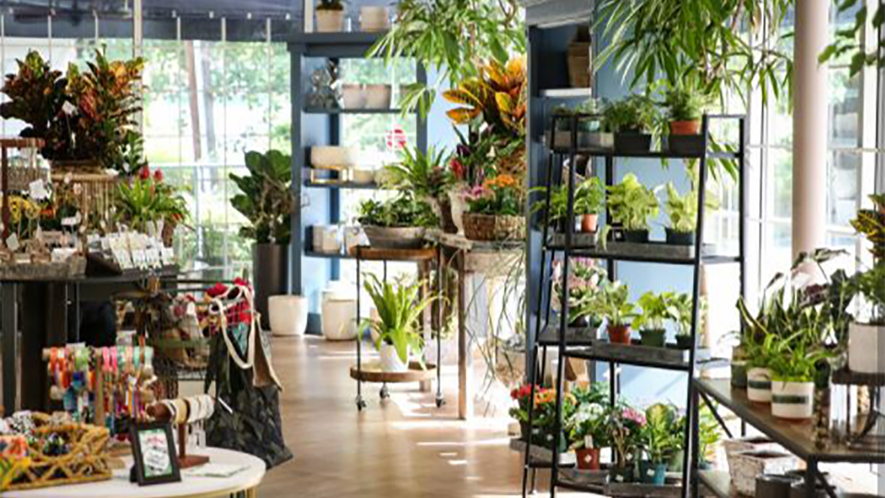 91-year-old flower shop opens in new, high-profile location – WSOC TV