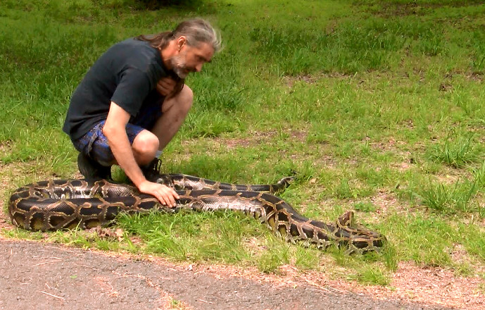 Snake-handler's survivor bitten by rattlesnake – 102.3 KRMG