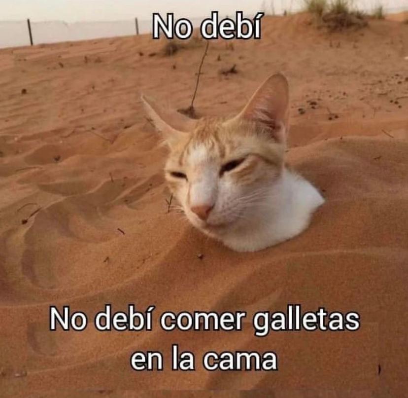 Todos Los Antecedentes De Los Memes Breve Historia Del Meme: El