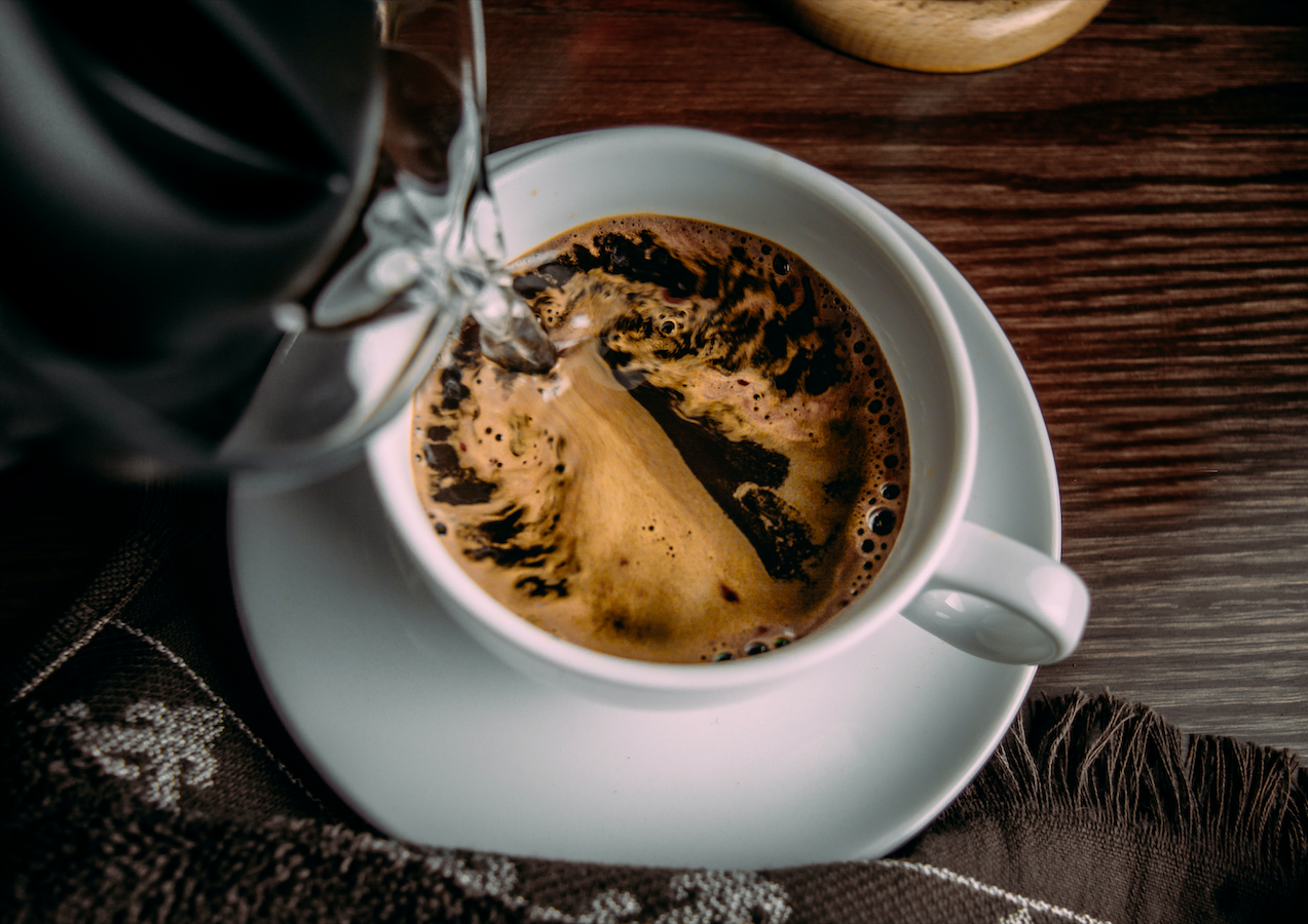 Qué Debo Hacer Si Mi Perro Toma Café